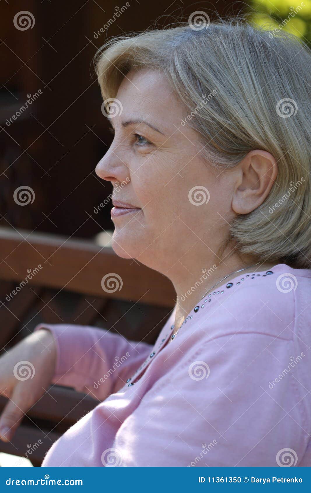 Woman s profile stock photo. Image of elegance, elegant - 11361350