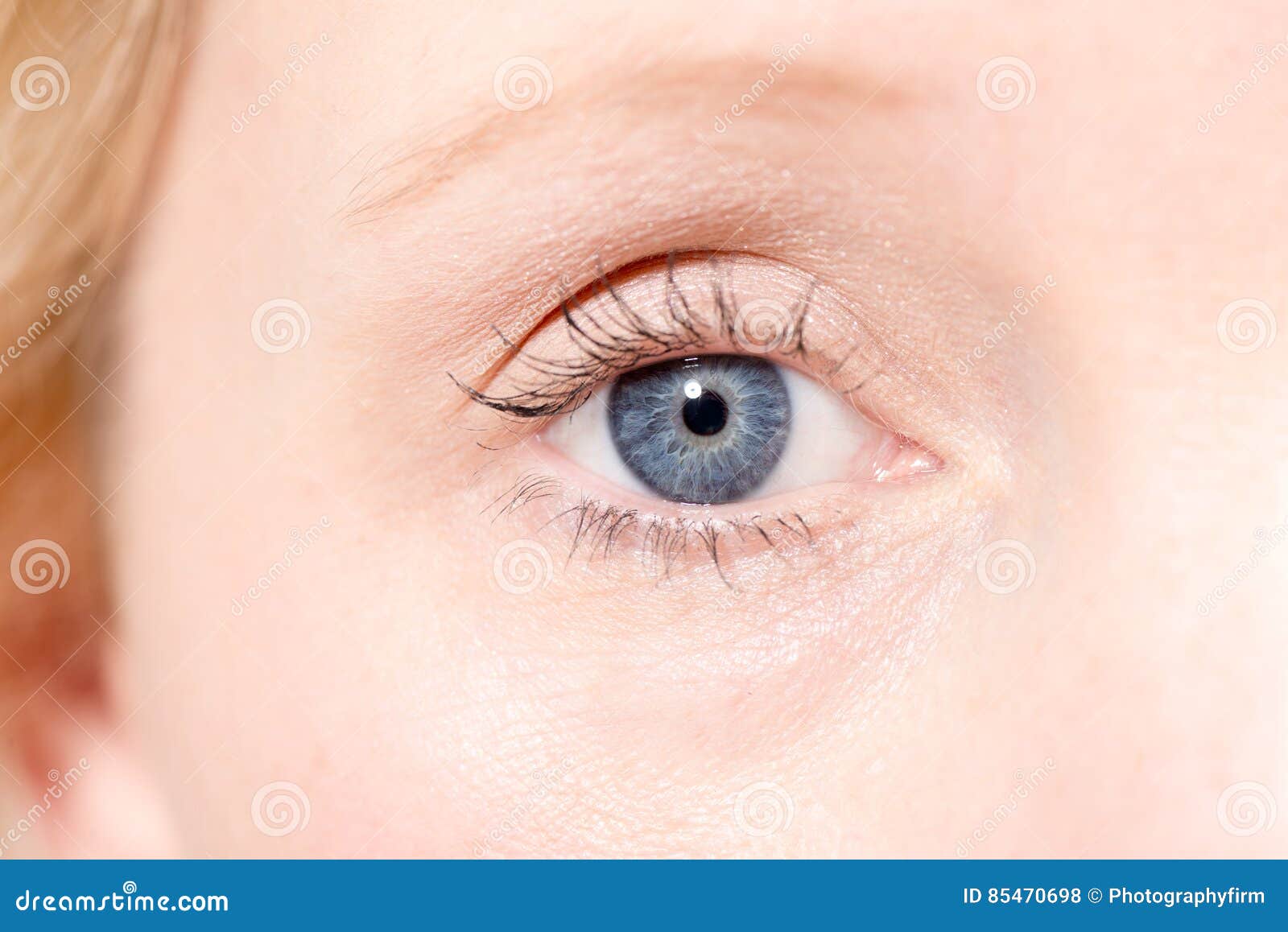 Woman`s Right Eye stock photo. Image of female, eyelashes - 85470698