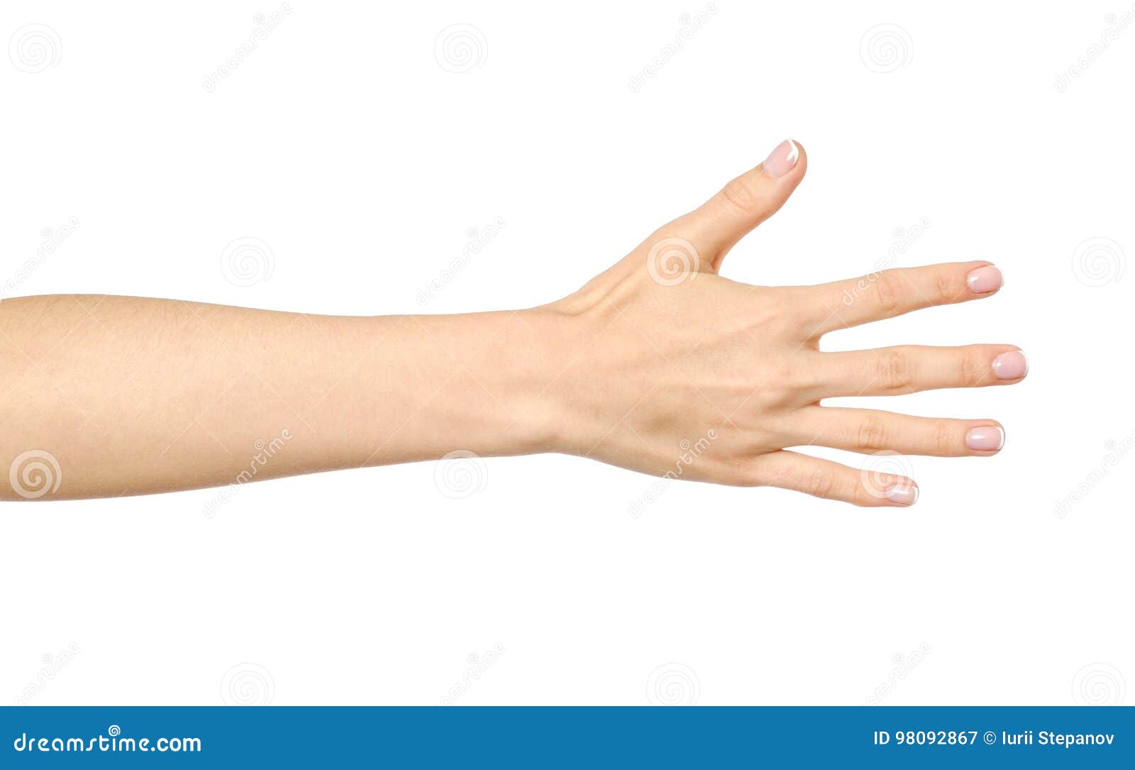 Woman`s Stretched Hand with Open Palm Stock Image - Image of female ...