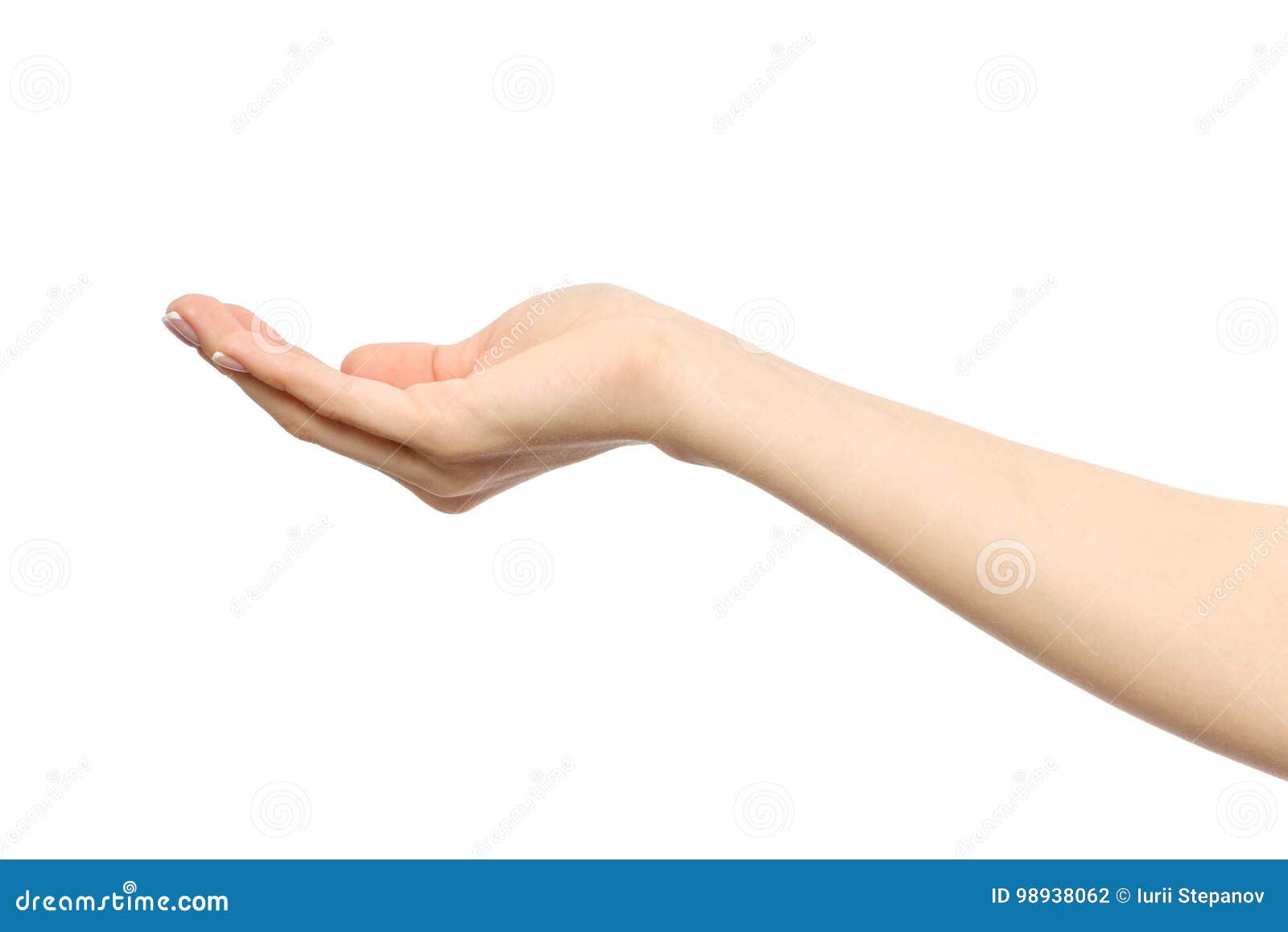 Woman`s Stretched Hand with Open Palm Stock Photo - Image of fingers ...