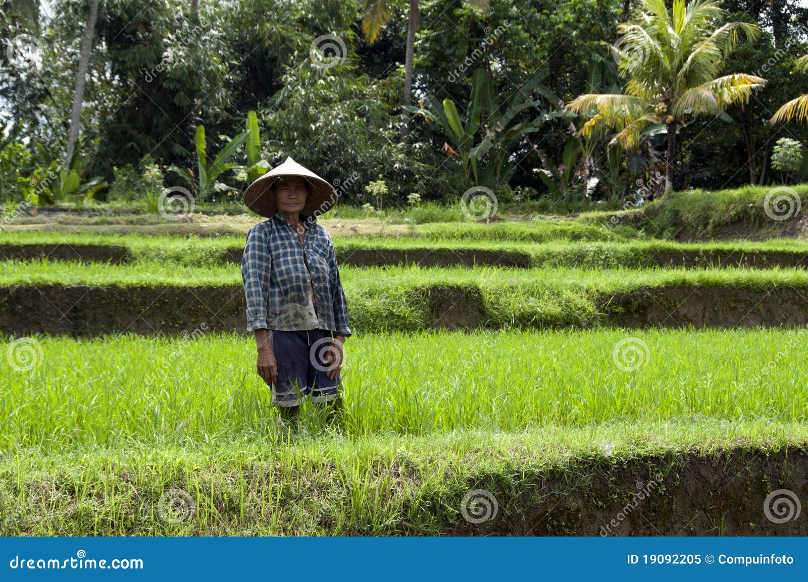 Woman in sawa editorial image. Image of adult, barbecue - 19092205