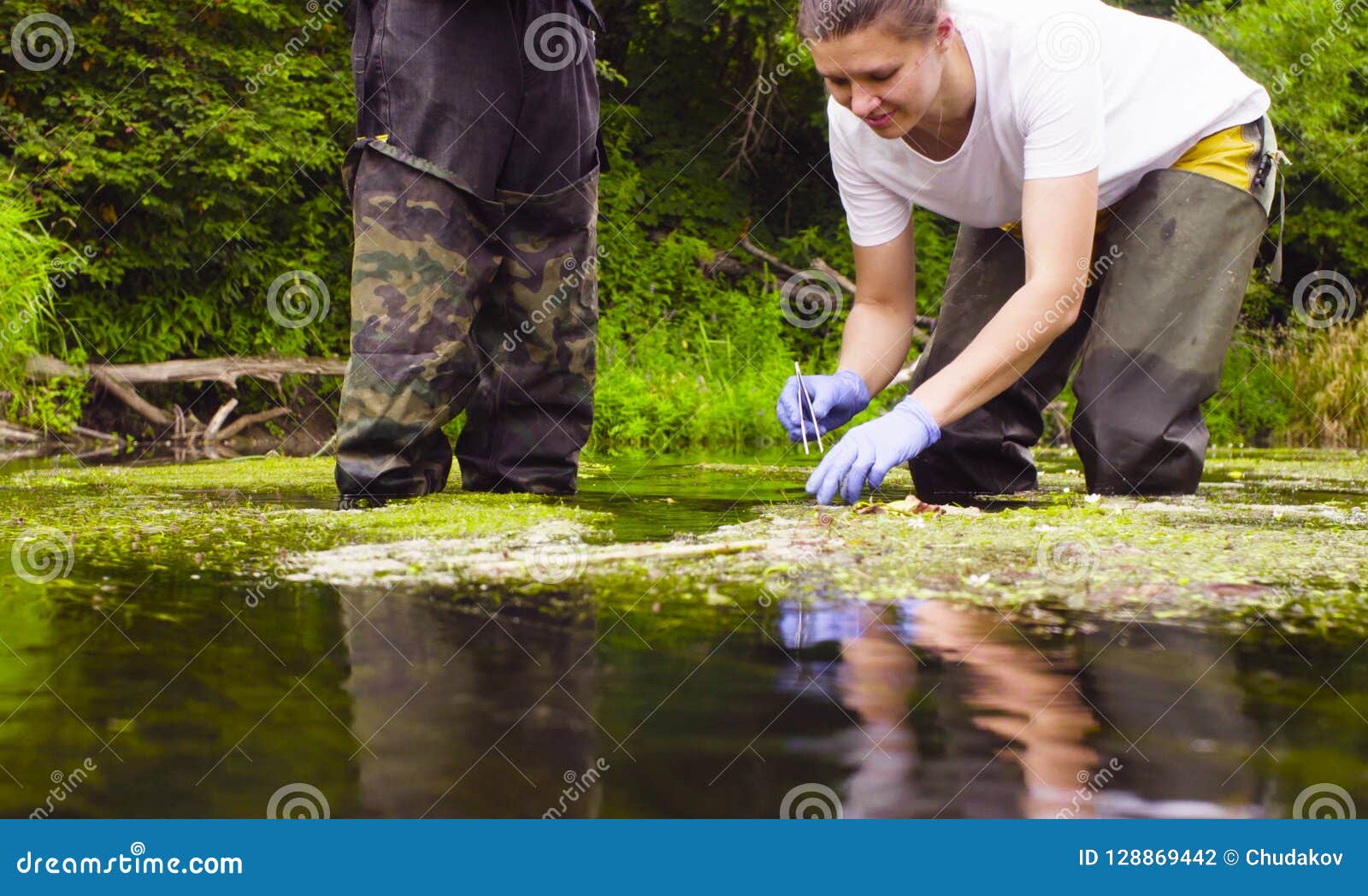 Woman Scientist Ecologist Taking Samples of Duckweed Stock Photo ...