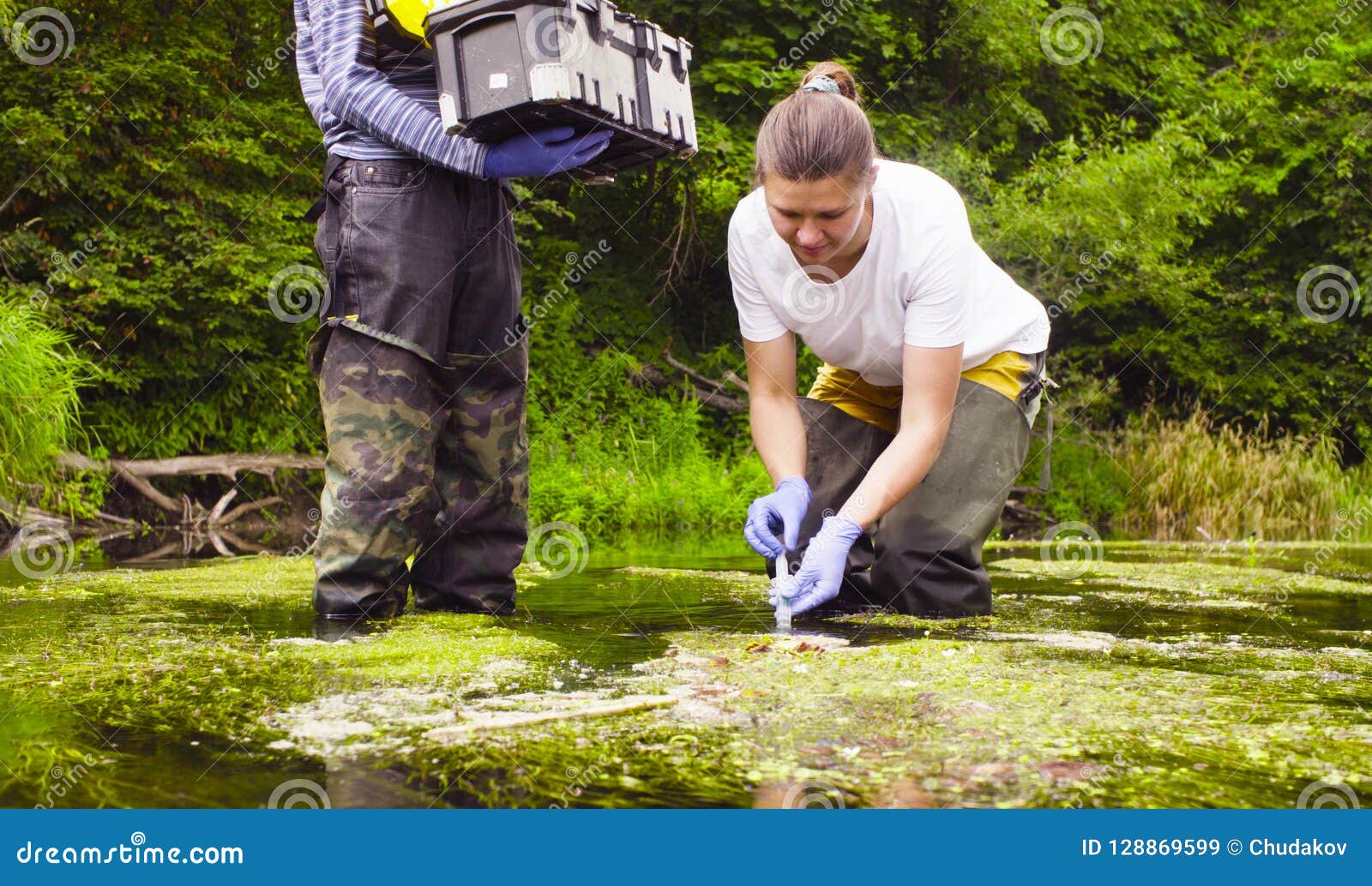 Woman Scientist Ecologist Taking Samples of Water Stock Image - Image ...