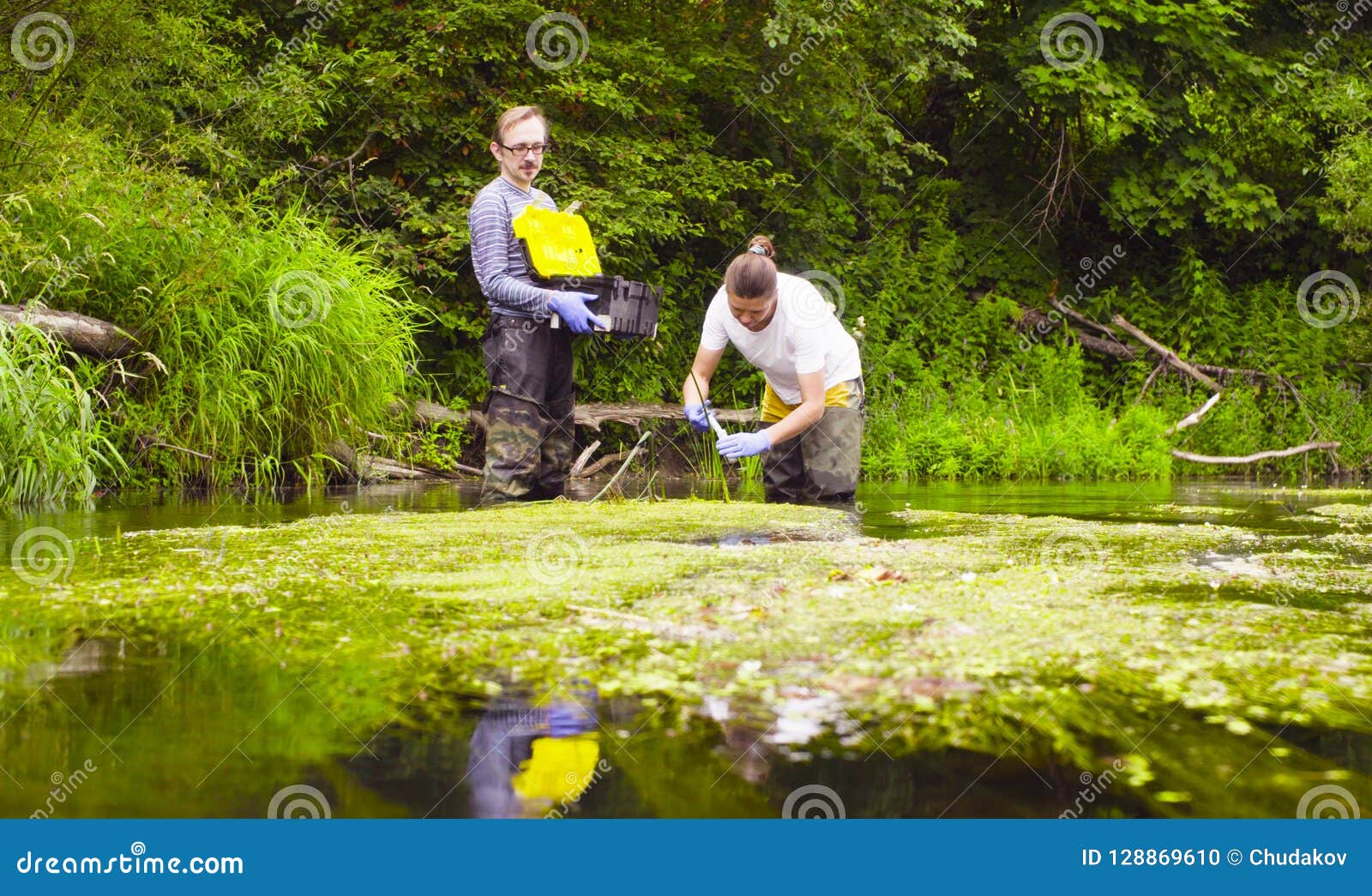 Woman Scientist Ecologist Taking Samples of Water Stock Photo - Image ...