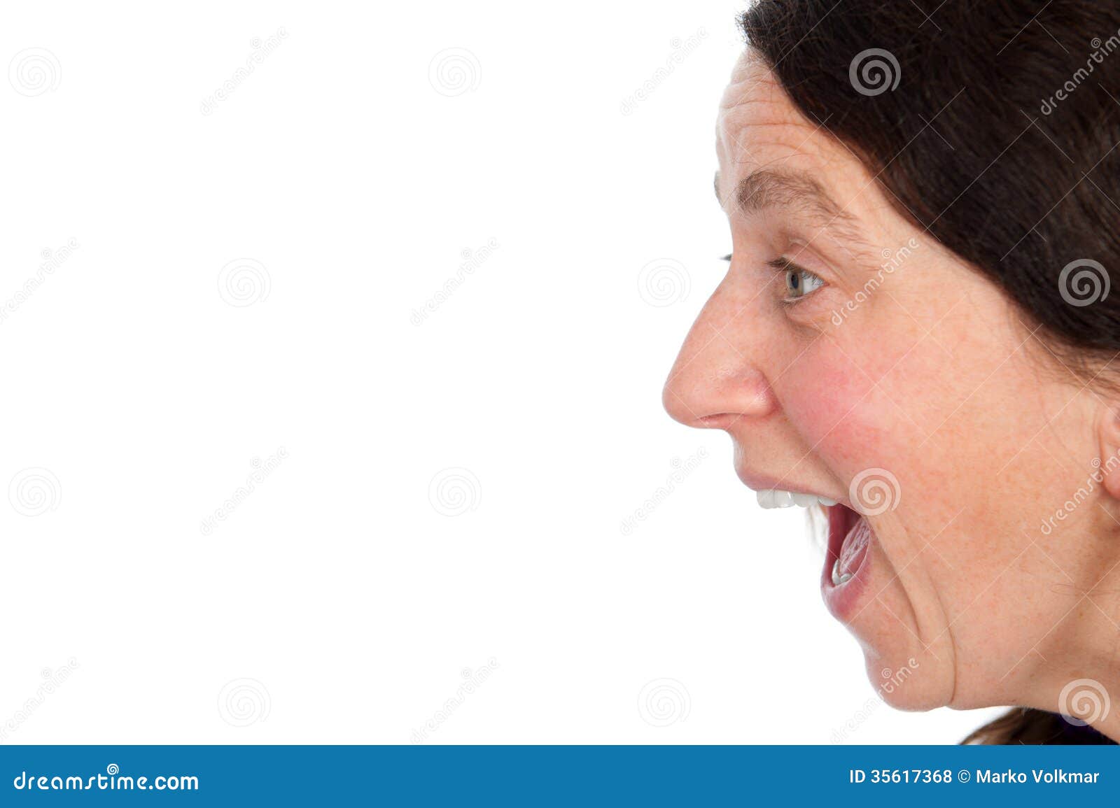 Woman is screaming stock photo. Image of conflict, mouth - 35617368