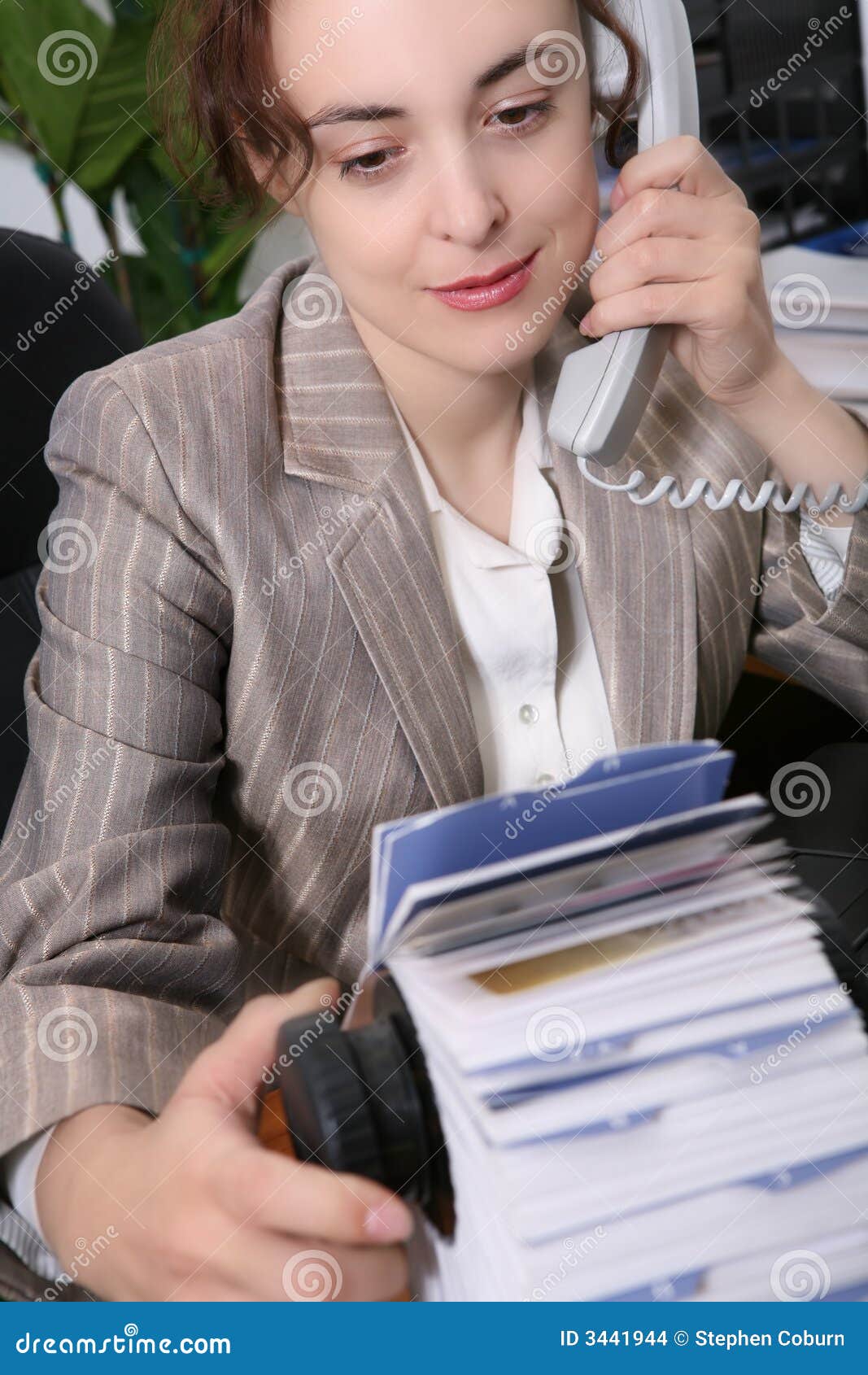 Woman Secretary stock photo. Image of professional, assistant - 3441944