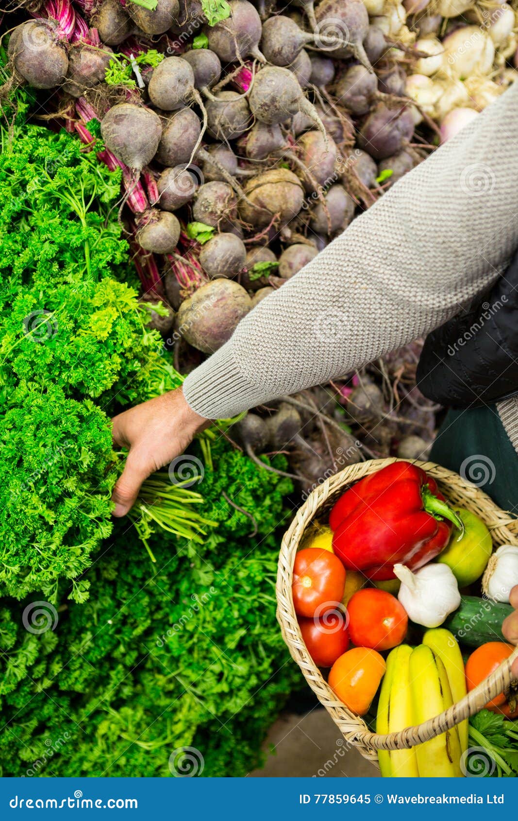 Woman Selecting Vegetables in Organic Section Stock Image - Image of ...