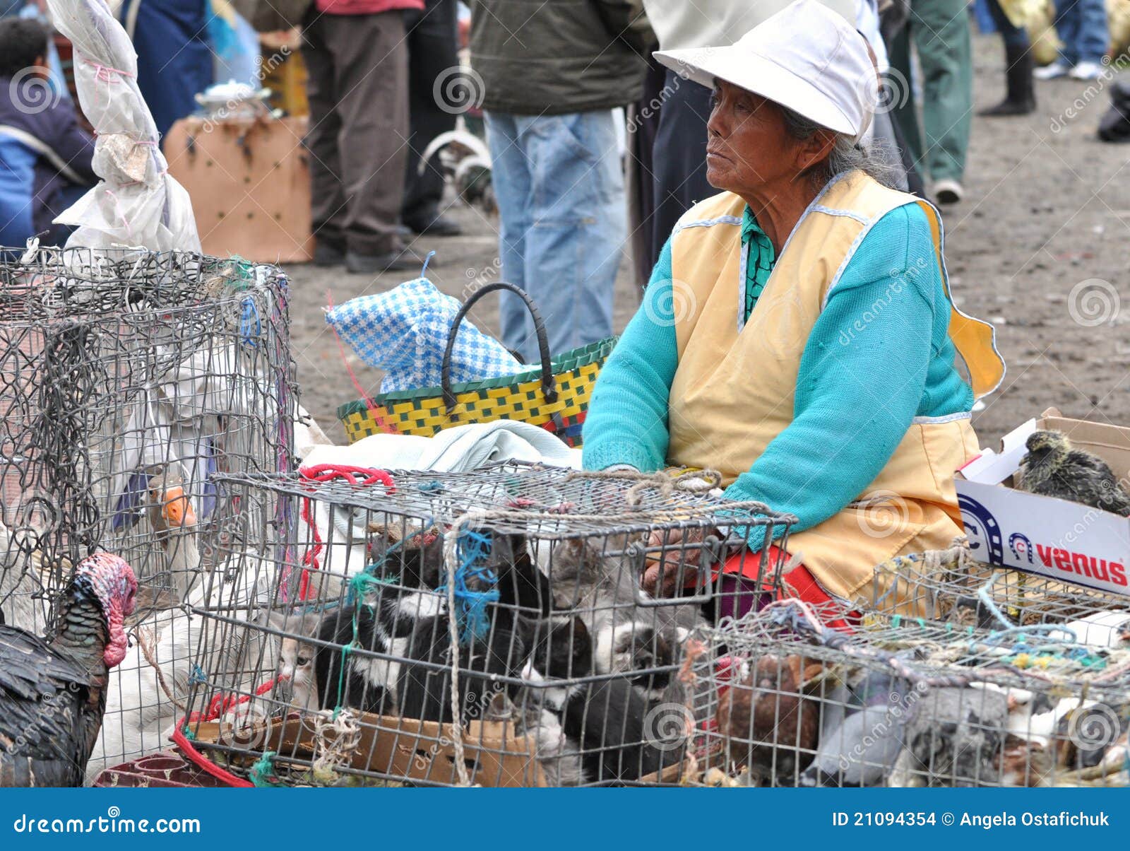 Woman Selling Animals editorial stock image. Image of animals - 21094354