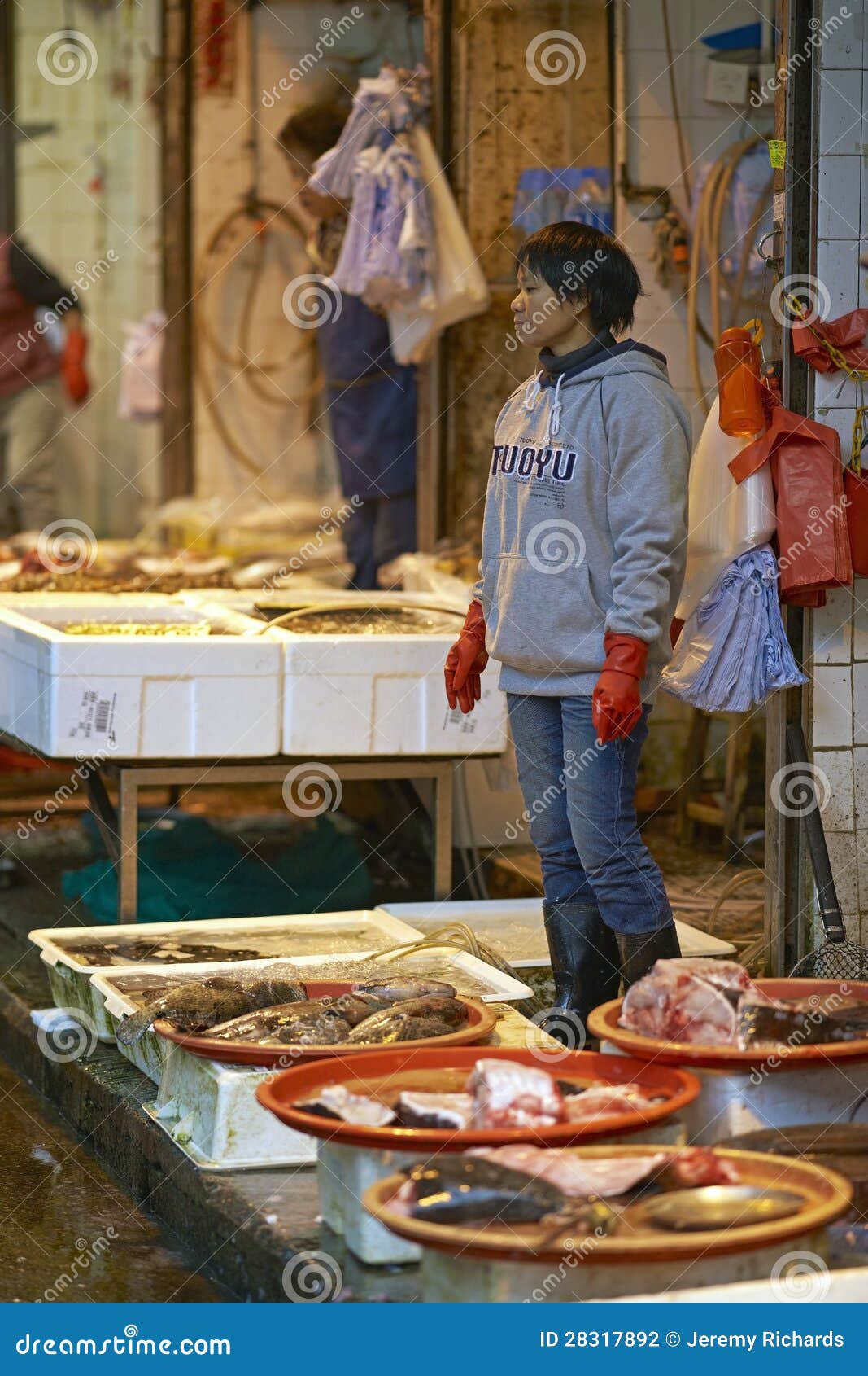 Woman selling fish editorial photography. Image of hong - 28317892