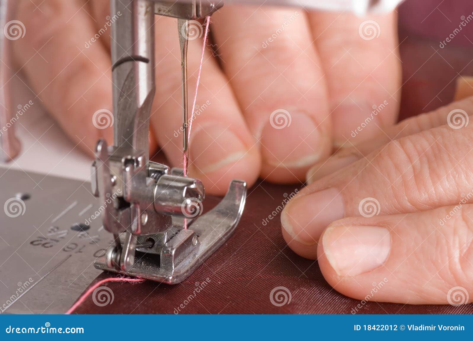 1,300 Woman Sews Dress Stock Photos - Free & Royalty-Free Stock Photos ...