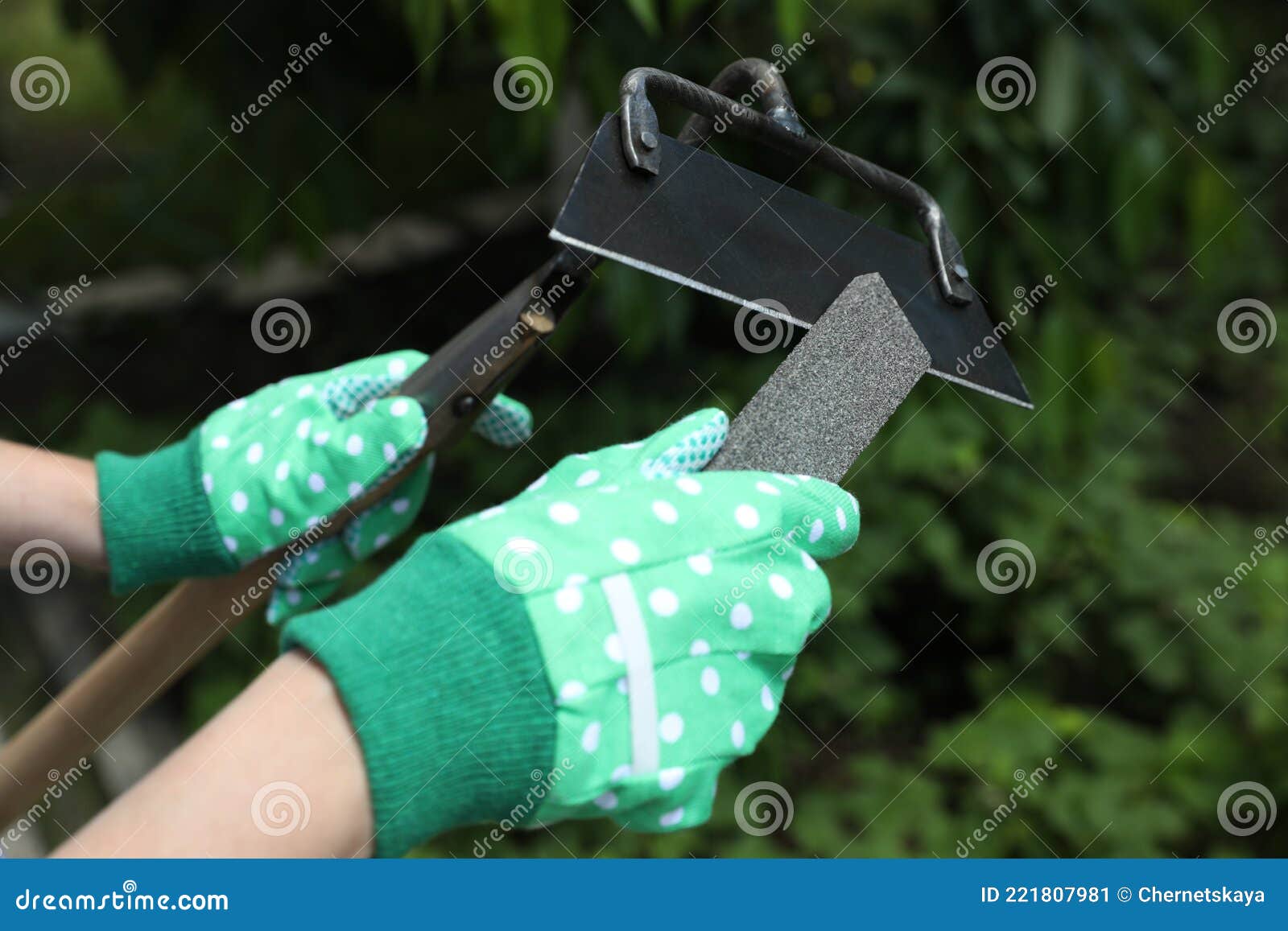 Woman Sharpening Hoe Outdoors, Closeup. Gardening Tools Stock Image ...