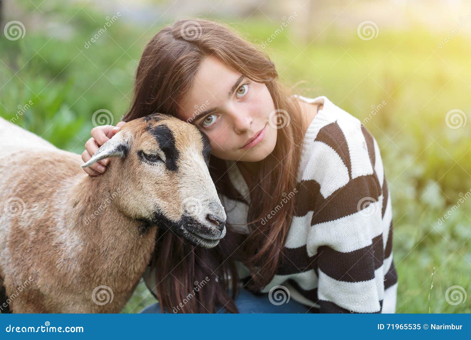 Woman and sheep stock image. Image of head, beautiful - 71965535