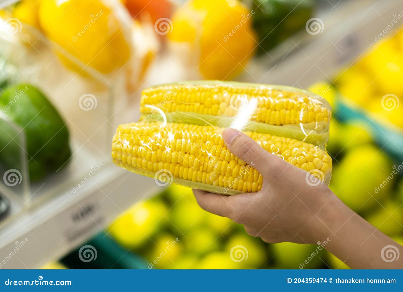 Woman Shopping for Raw Corn in Supermarkets Stock Photo - Image of ...
