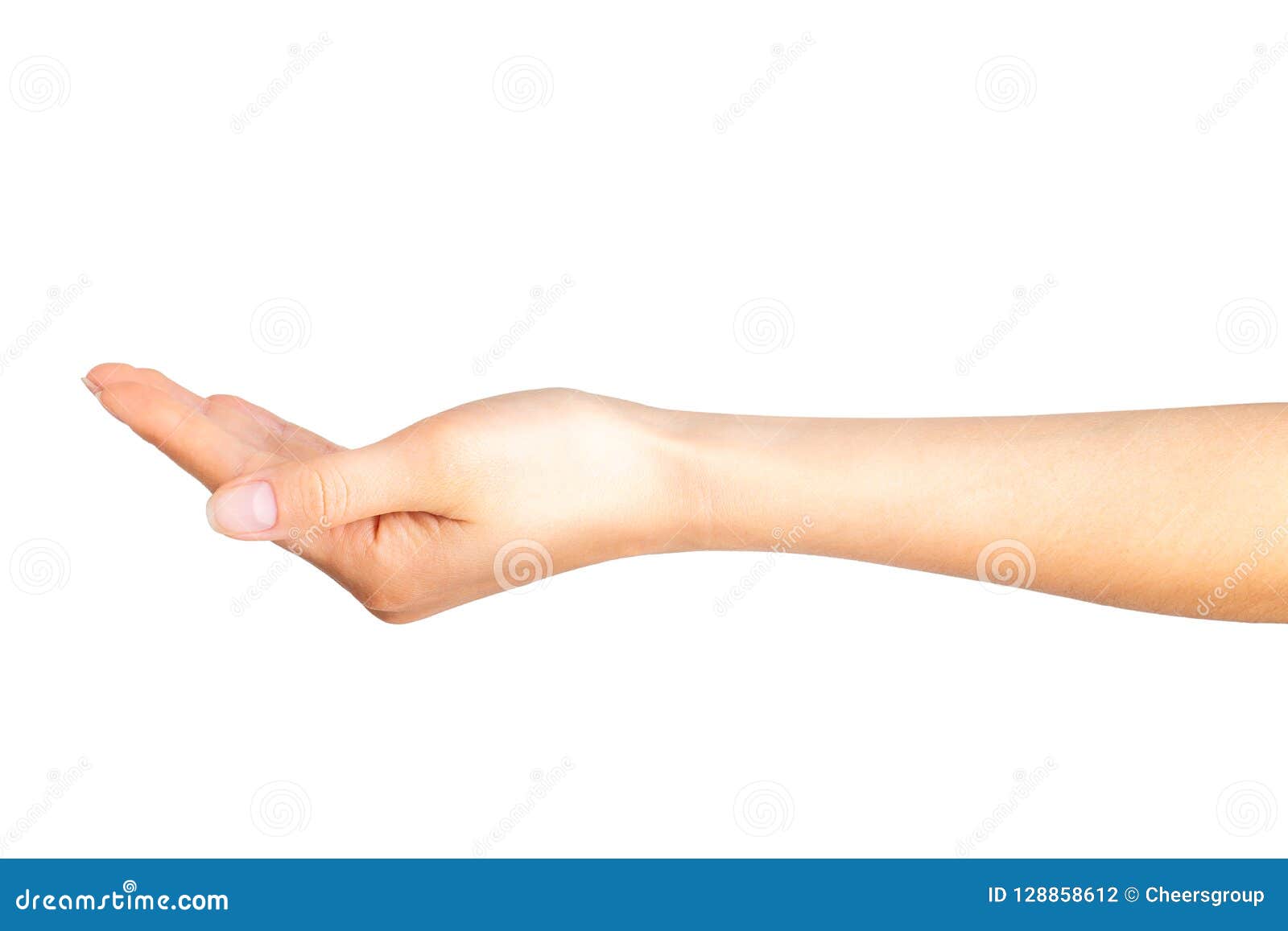 Woman Showing Open Hand or Holding Something Stock Photo - Image of ...