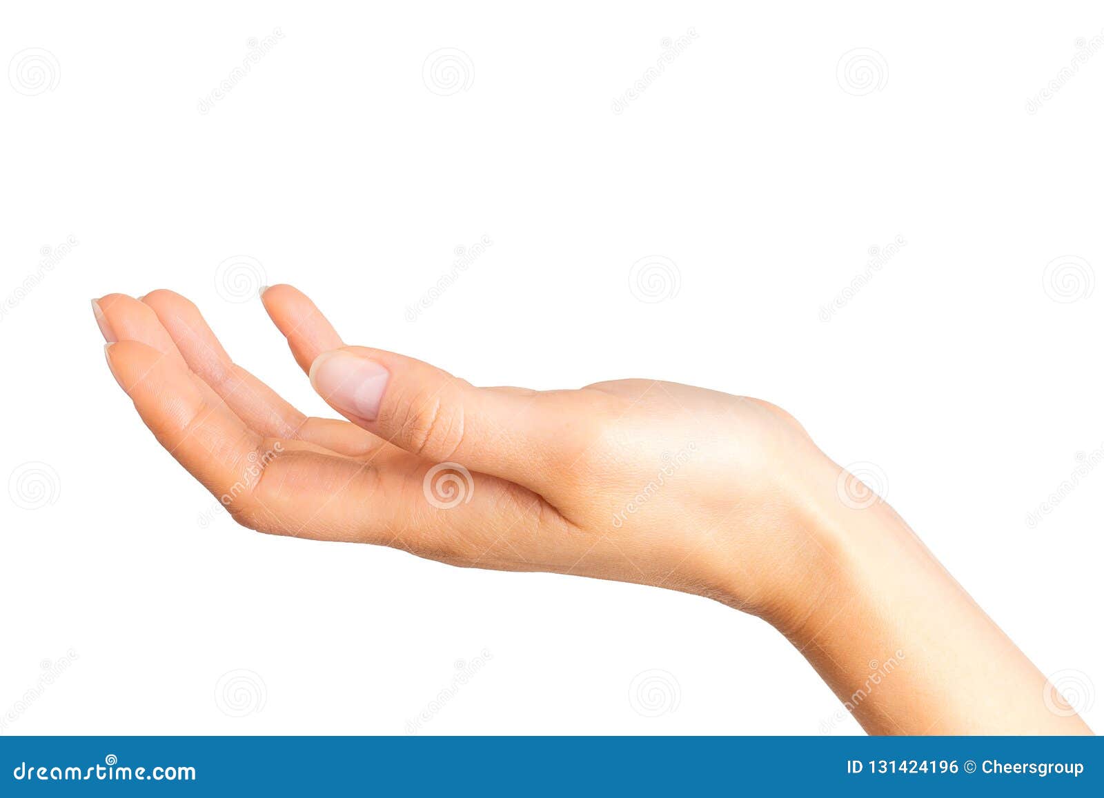 Woman Showing Open Hand Taking or Showing Something Stock Photo - Image ...