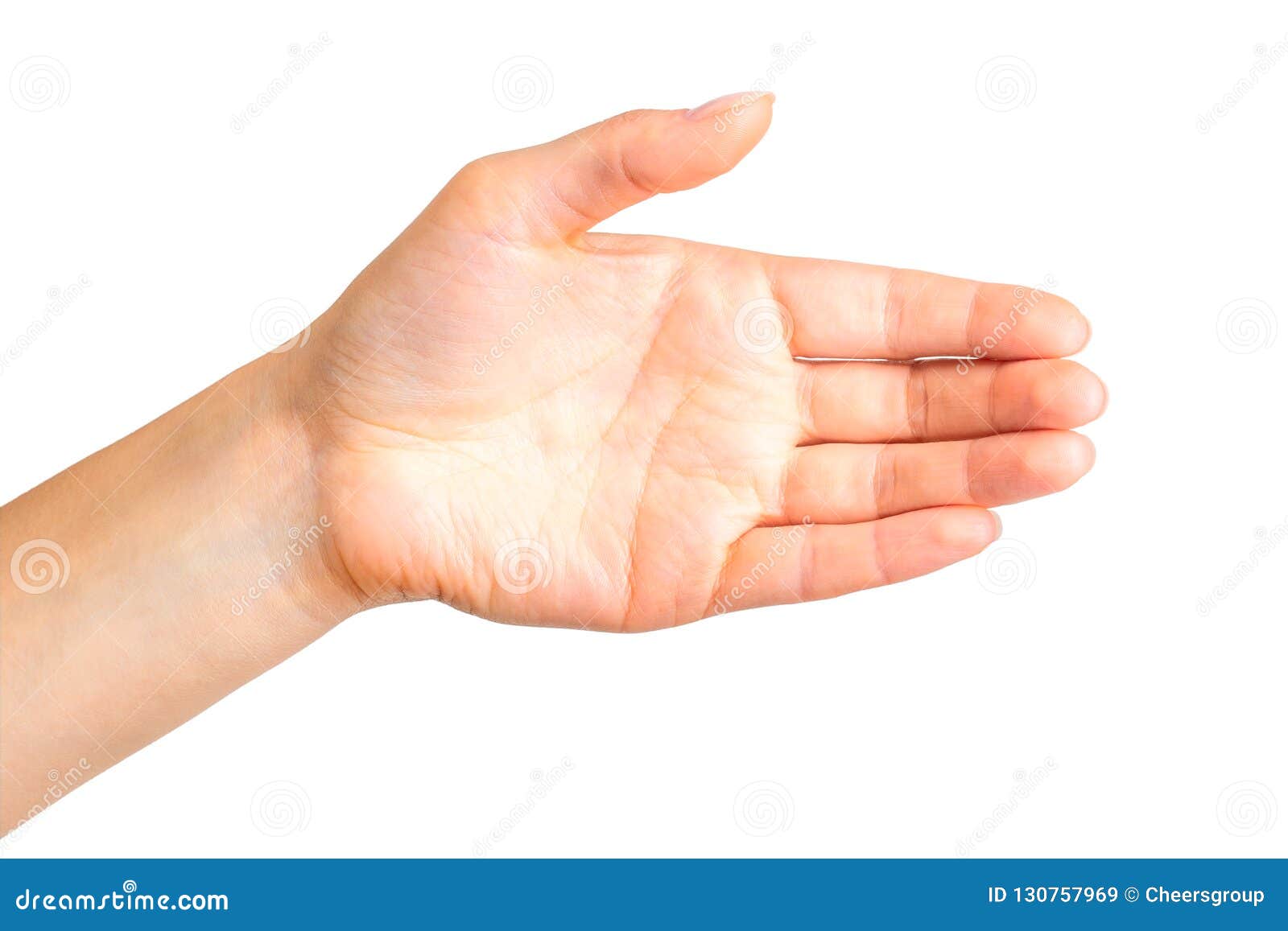 Woman Showing Open Hand Taking Something or Shaking Stock Image - Image ...