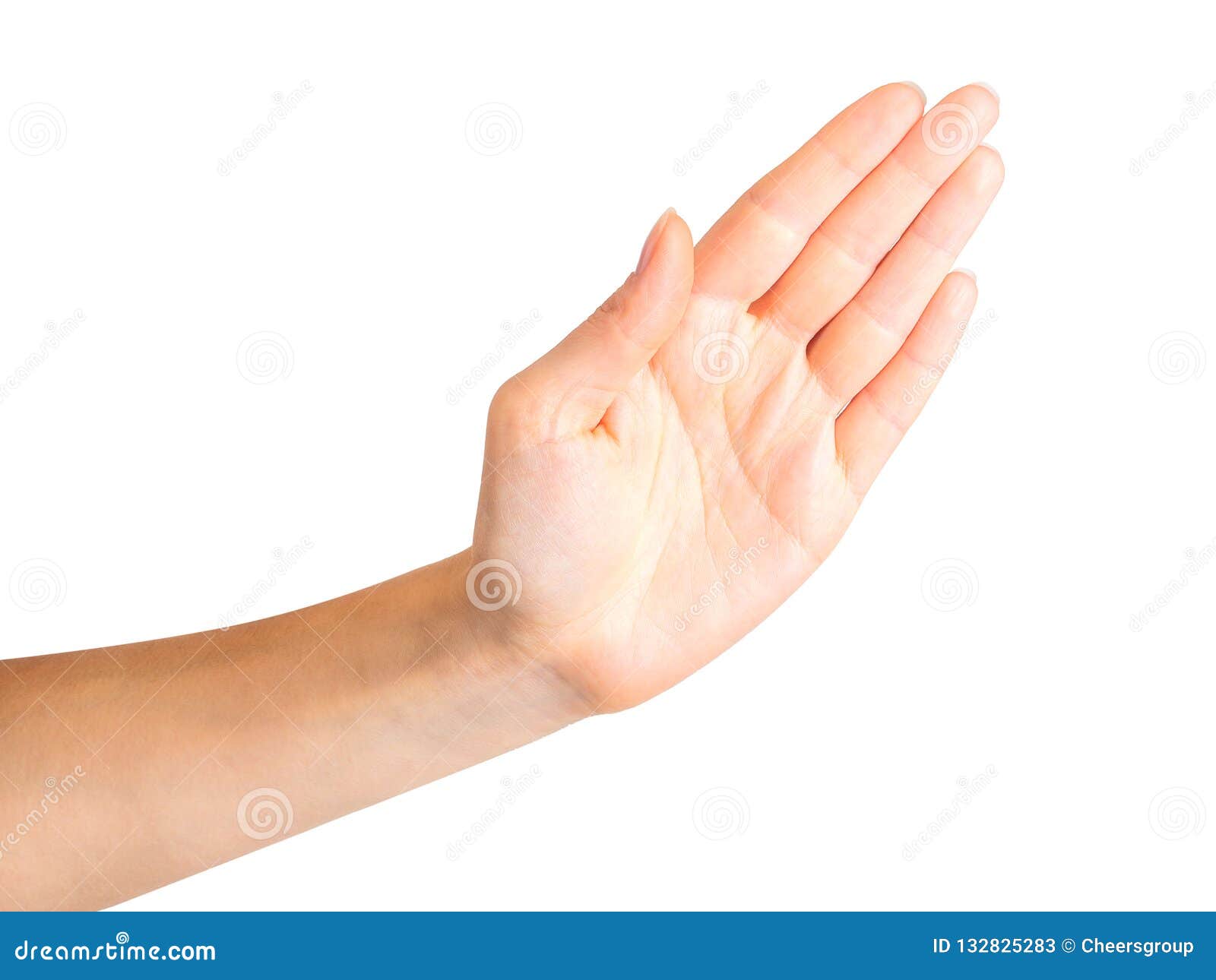 Woman Showing Open Hand Taking Something or Shaking Stock Image - Image ...