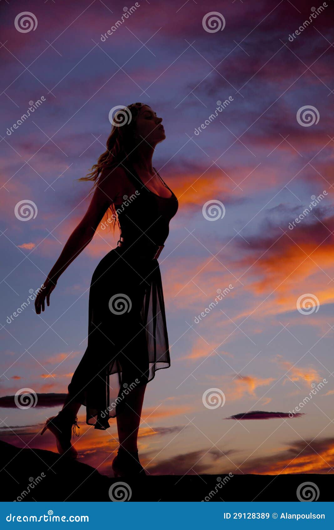 Woman silhouette hand back stock image. Image of attractive - 29128389