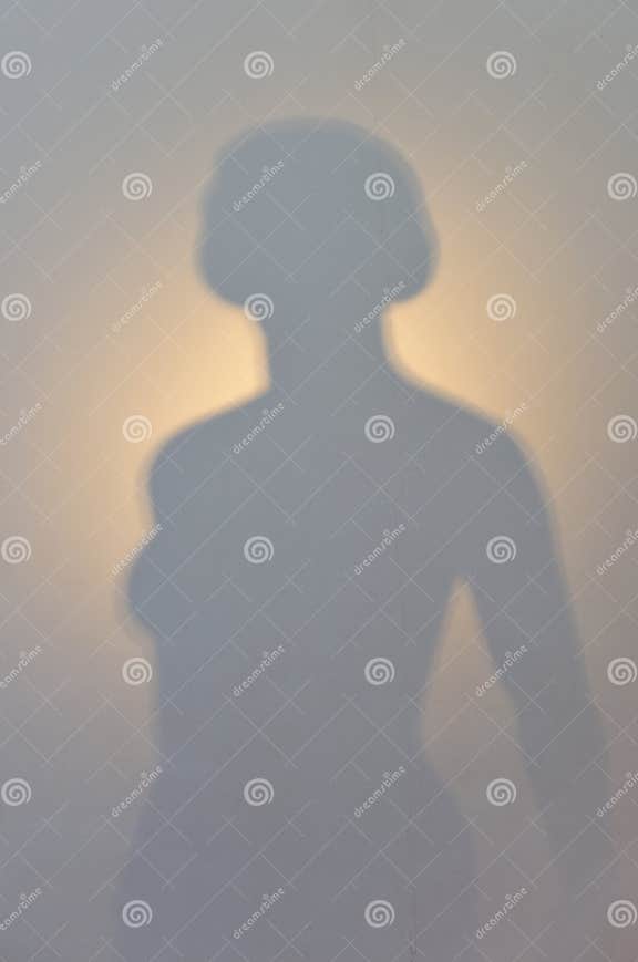 Woman silhouette shadow stock photo. Image of opaque, silhouette - 6287432