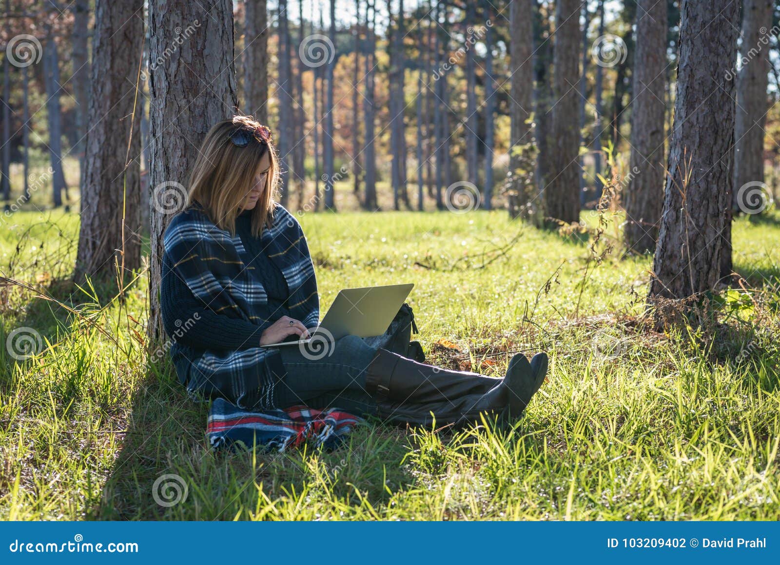 Woman Sitting Against Tree with Laptop Stock Photo - Image of natural ...