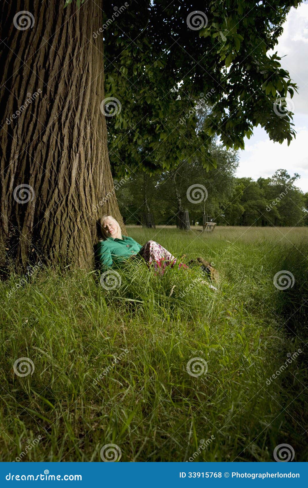 Woman Sitting Beneath Tree stock photo. Image of outside - 33915768