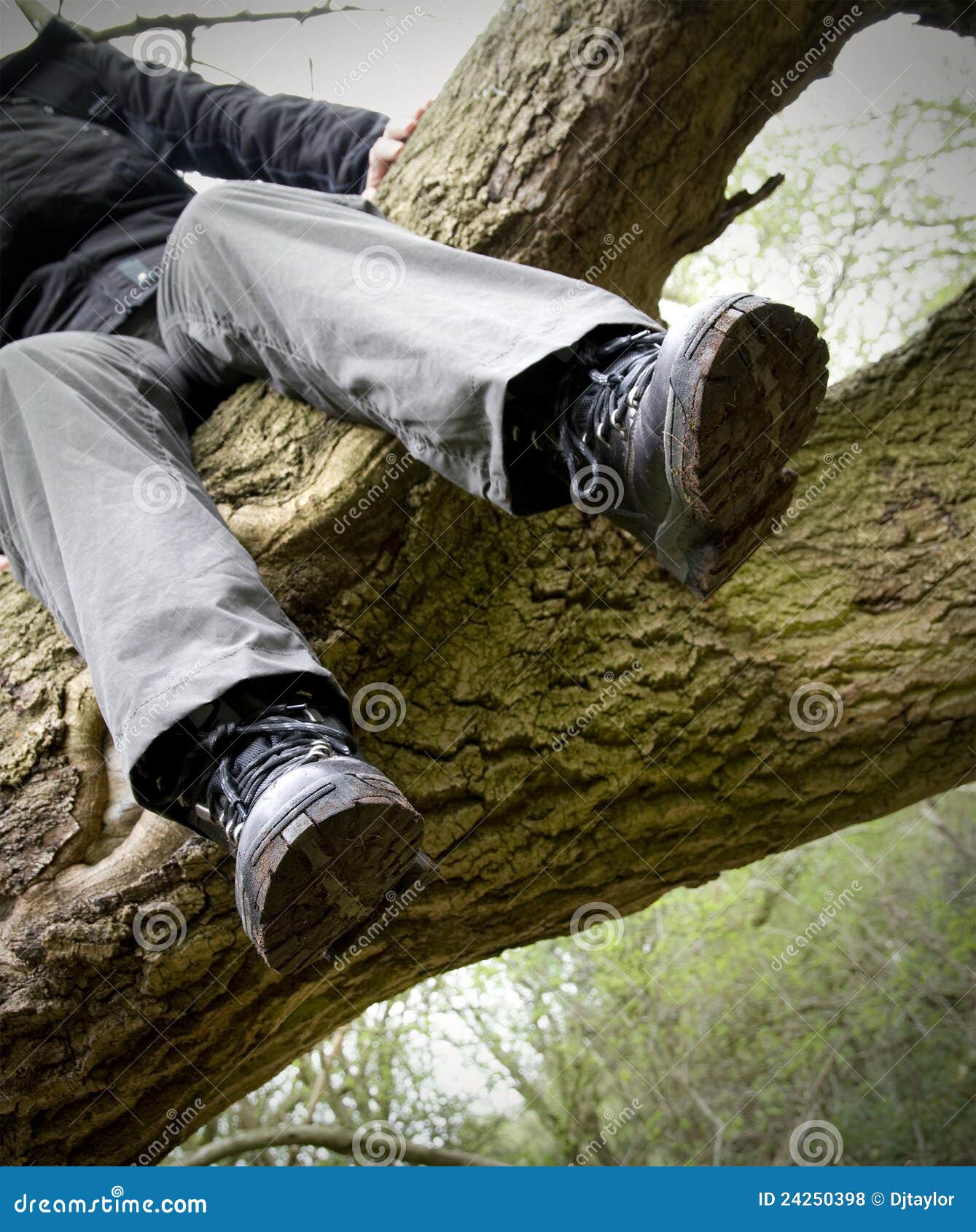 Woman sitting on branch stock photo. Image of adventure - 24250398
