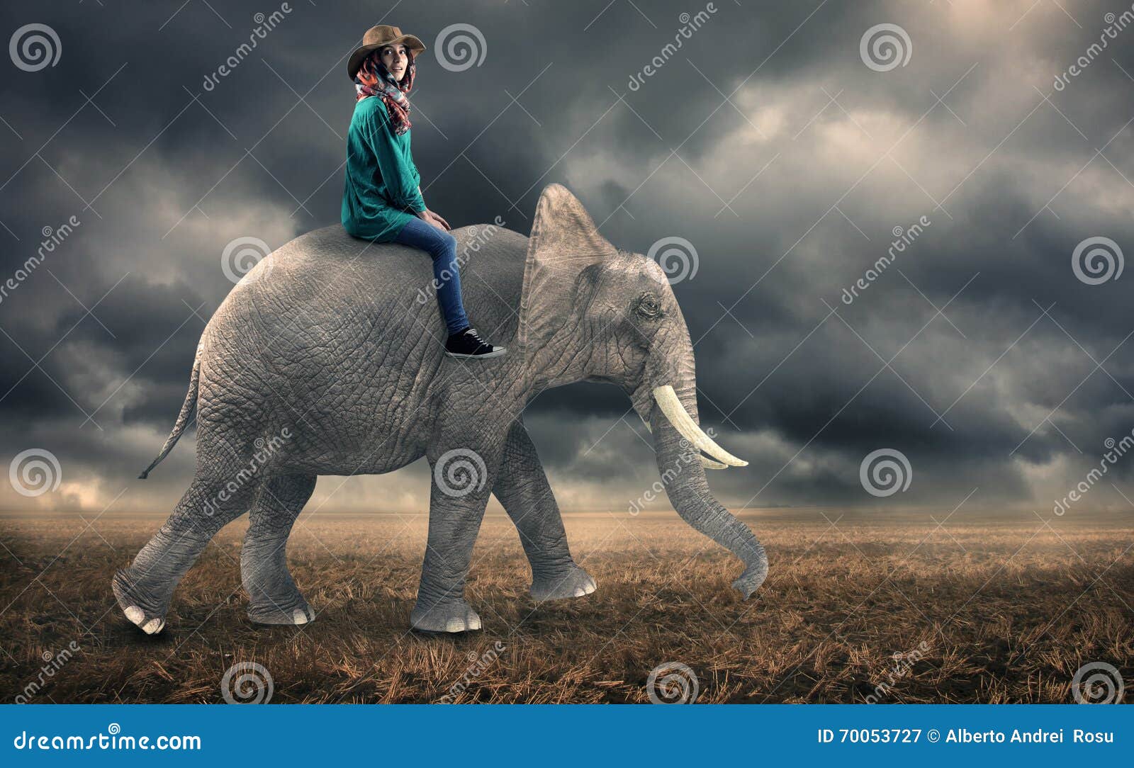 Woman Sitting on an Elephant Stock Image - Image of female, landscape ...