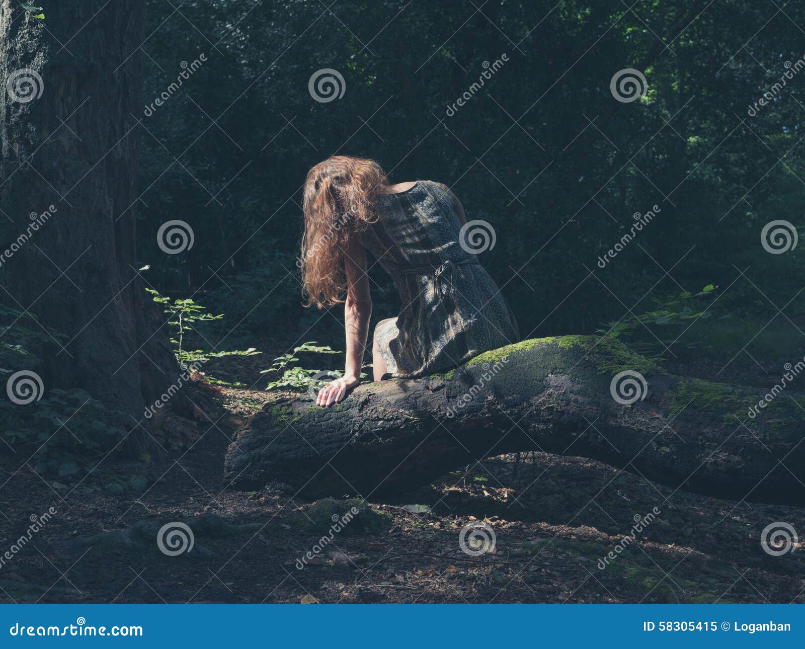 Woman Sitting on Log in Forest Stock Image - Image of tree, female ...