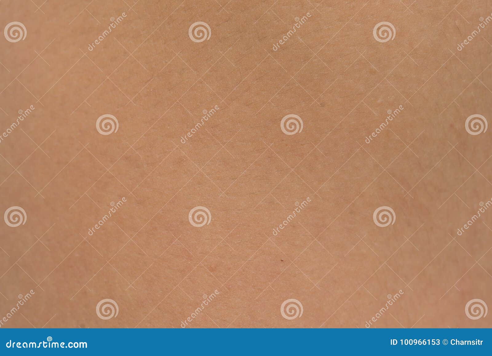 Woman skin texture stock image. Image of macro, healthy - 100966153