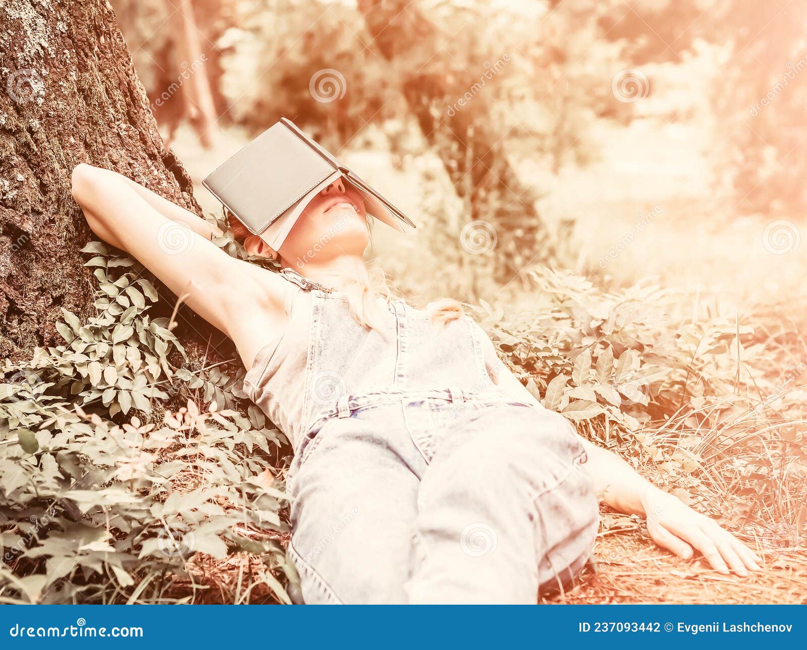 Woman Sleeping in the Forest Under a Tree Covering Her Face with a ...