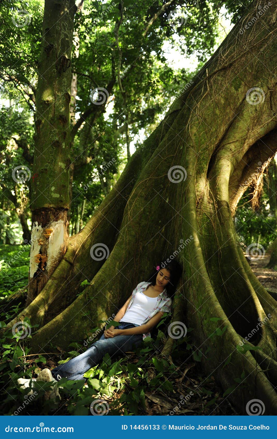 Woman Sleeping in the Shadow of a Tree Stock Image - Image of dream ...