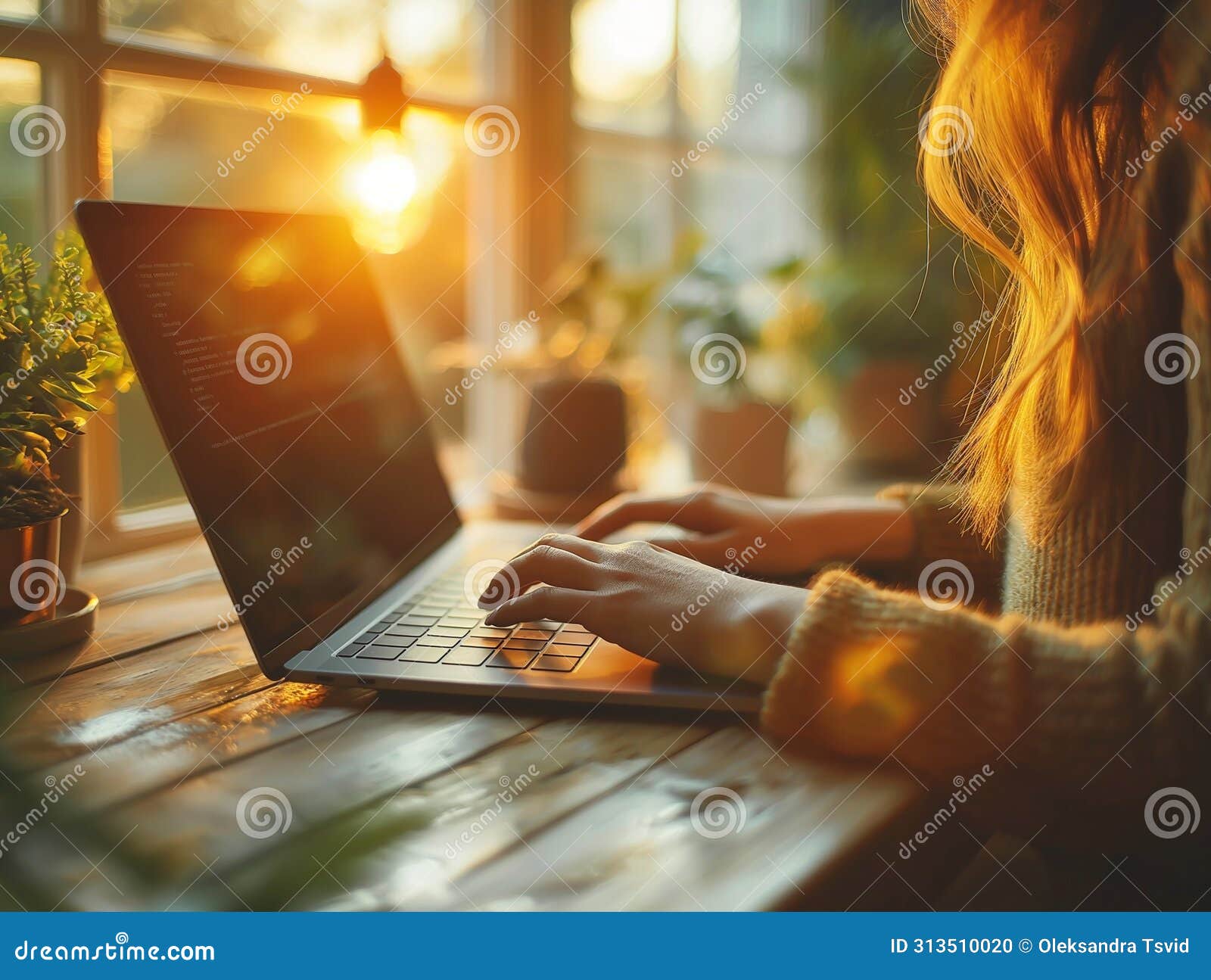 Woman, Smiling Student Using Laptop Computer Sitting on Chair in Cafe ...