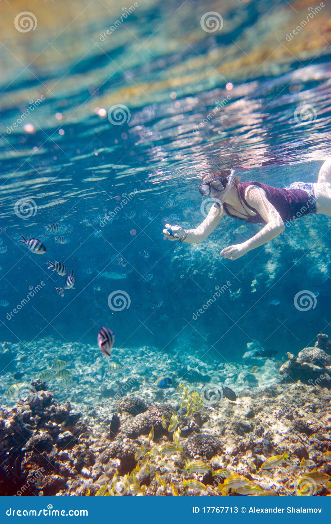 Woman snorkeling stock image. Image of scuba, marine - 17767713
