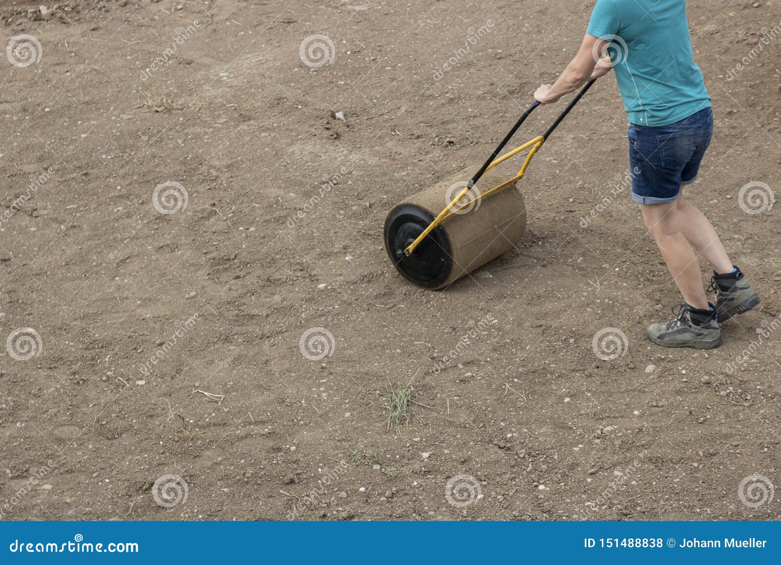 A woman with a soil roller stock photo. Image of horticulture - 151488838