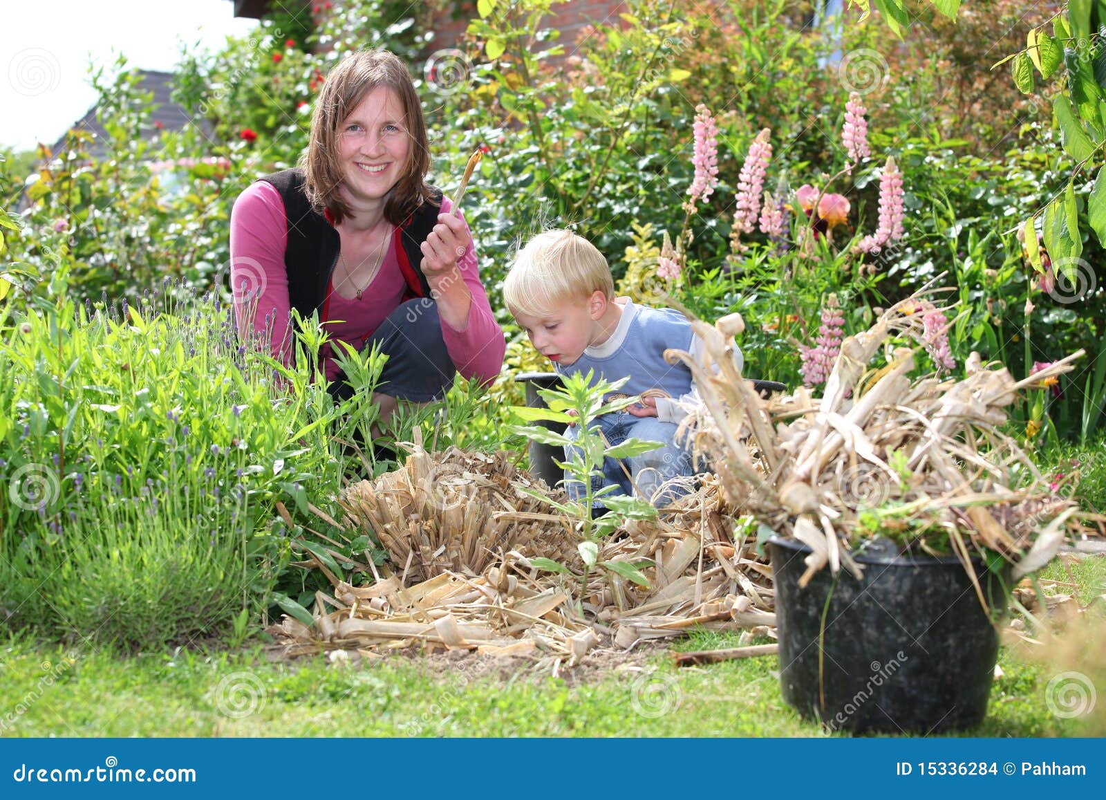 Woman and Son Work in the Garden Stock Photo - Image of yard, person ...