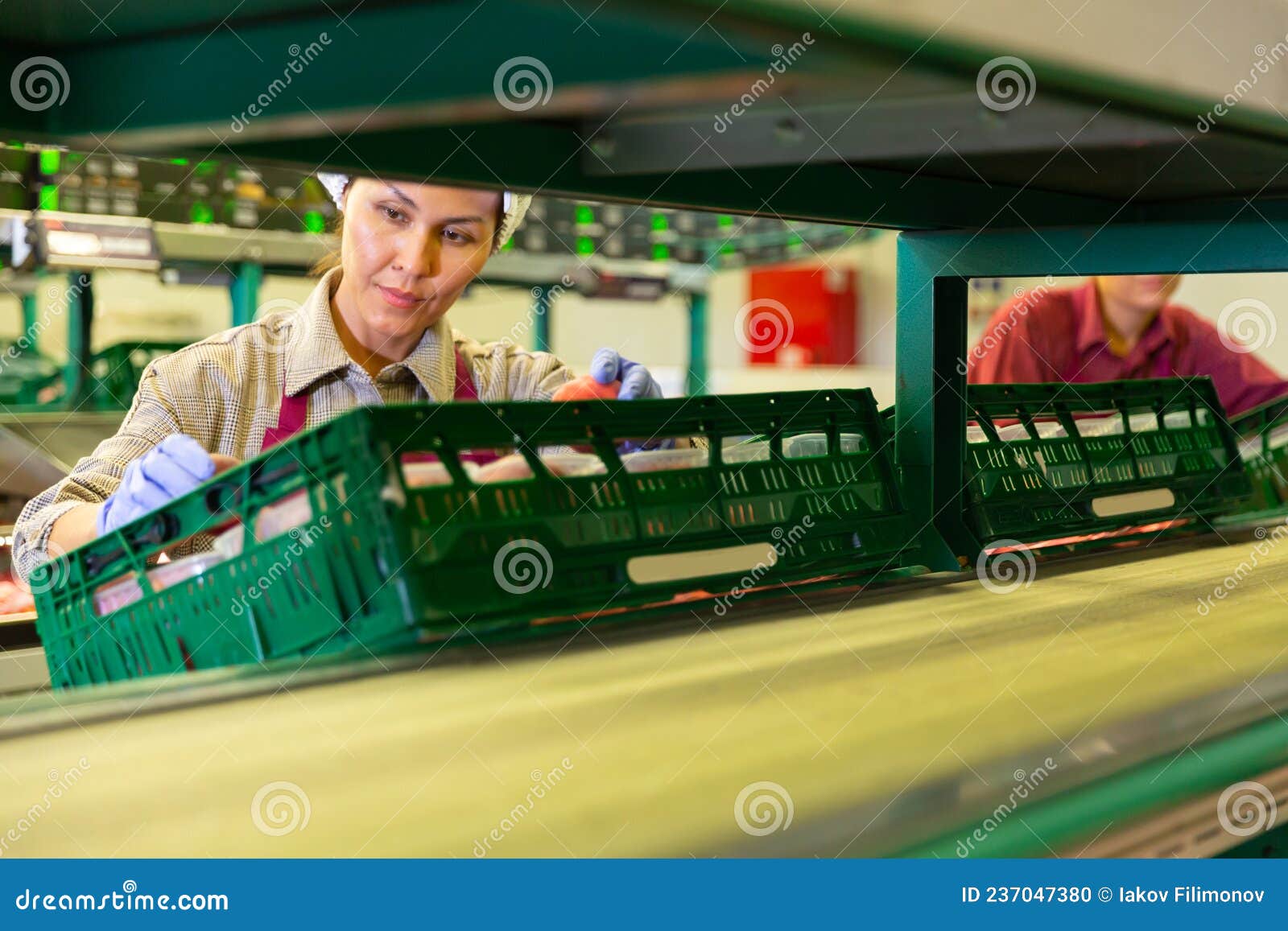 Woman Sorts Fresh Peaches on Fruit Packing Line Stock Photo - Image of ...