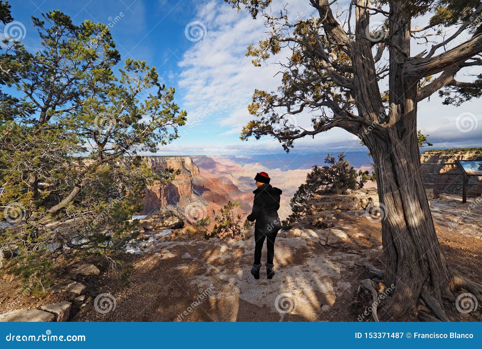 Woman On The South Rim Trail In The Grand Canyon Stock Image Image