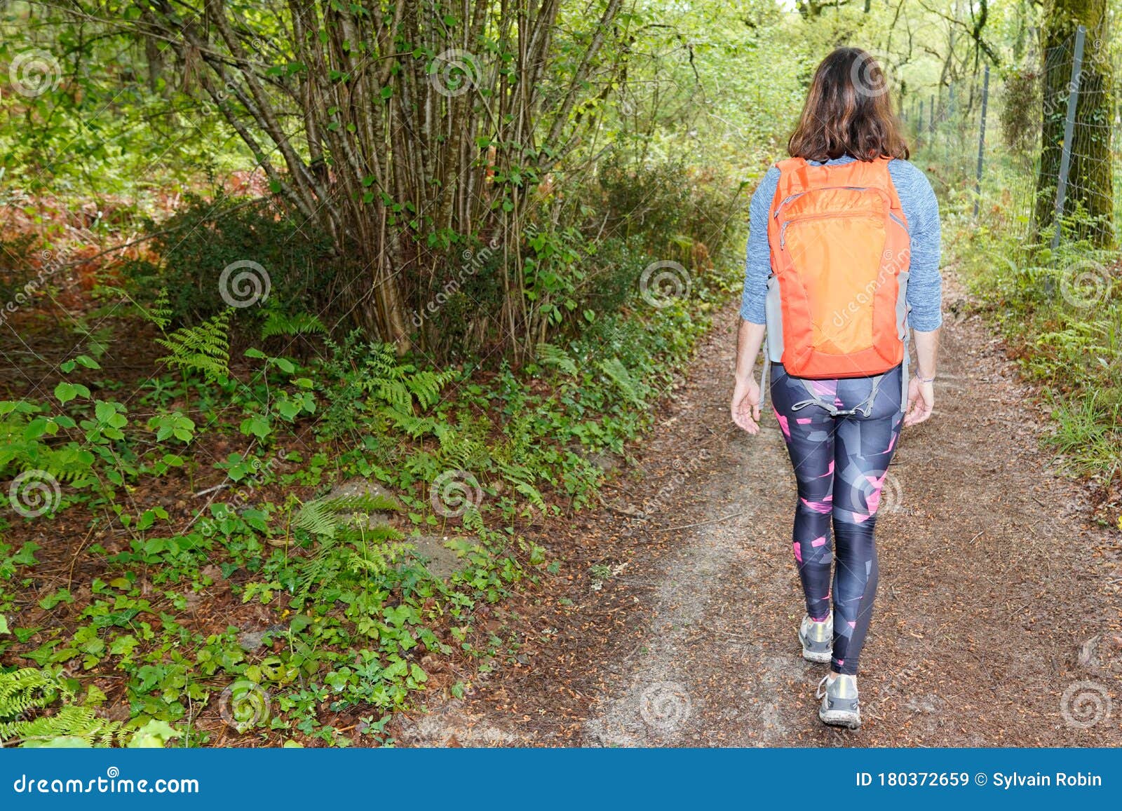 Woman Sporty with Backpack Walking on Forest Pathway Stock Image ...