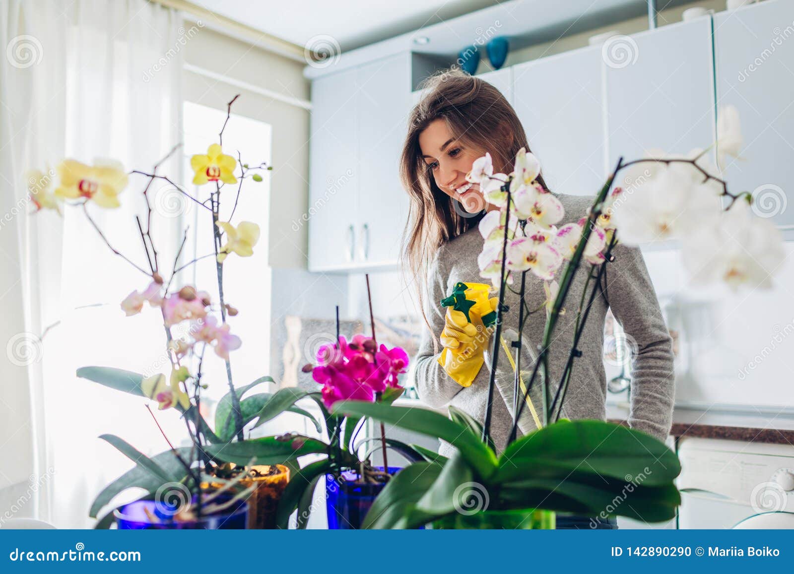 Woman Spraying Water On Orchids On Kitchen Houswife Taking Care Of
