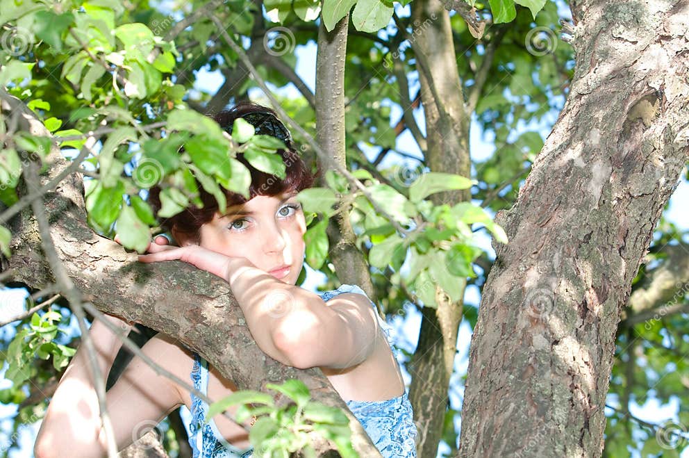 Woman standing at apple stock photo. Image of flower - 14570694