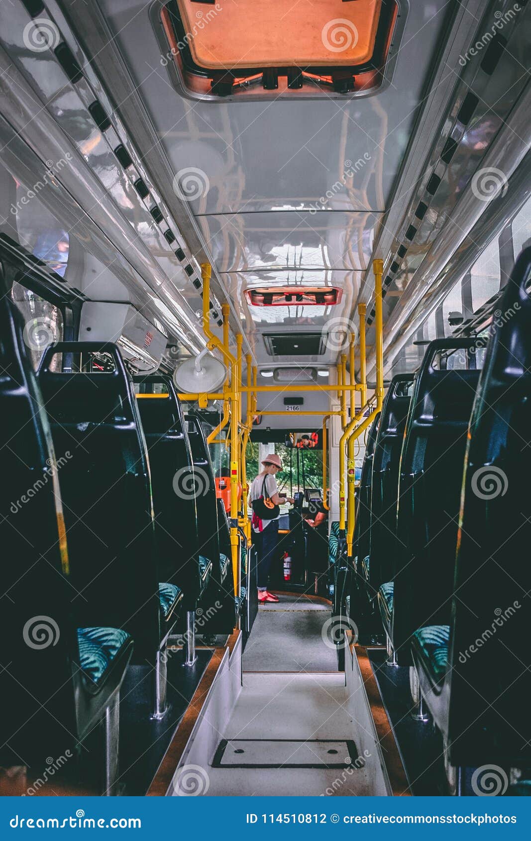 Woman Standing In Bus Picture. Image: 114510812