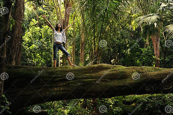 Woman Standing on a Fallen Tree Stock Photo - Image of copy, female ...