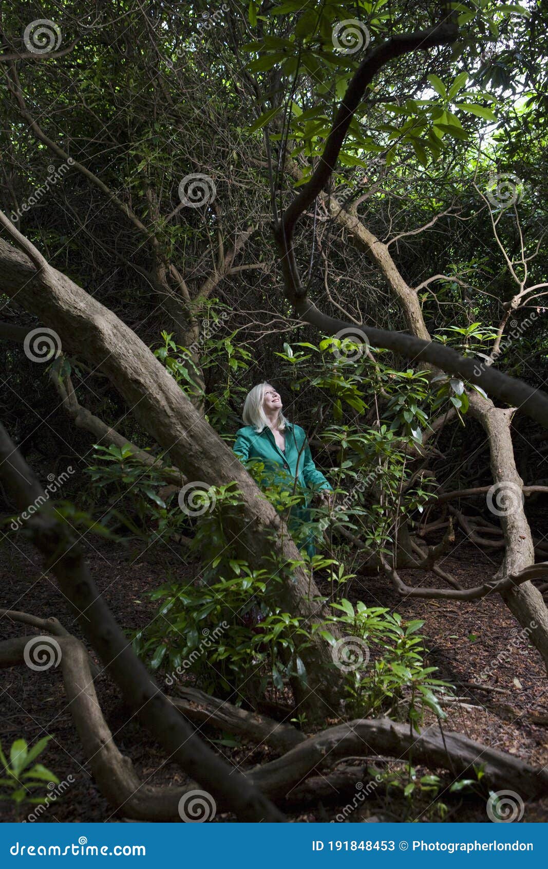 Woman Standing in a Forest stock image. Image of autumn - 191848453