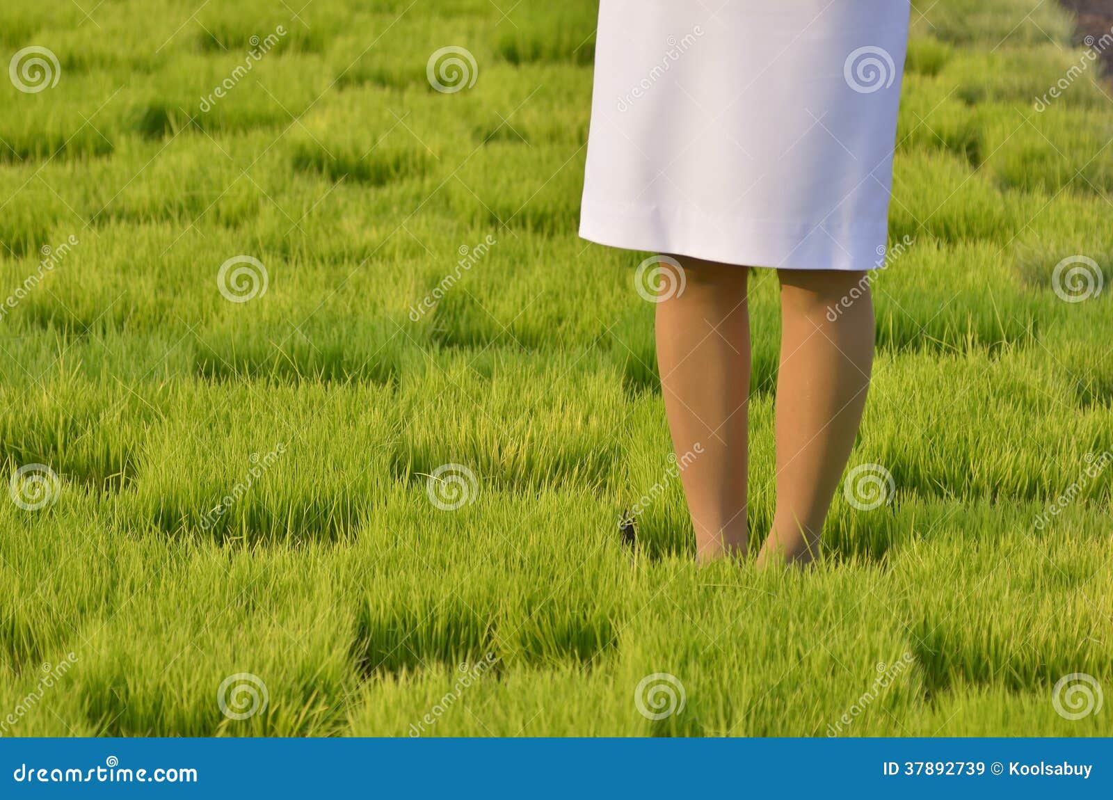Woman standing in grass stock image. Image of woman, growth - 37892739