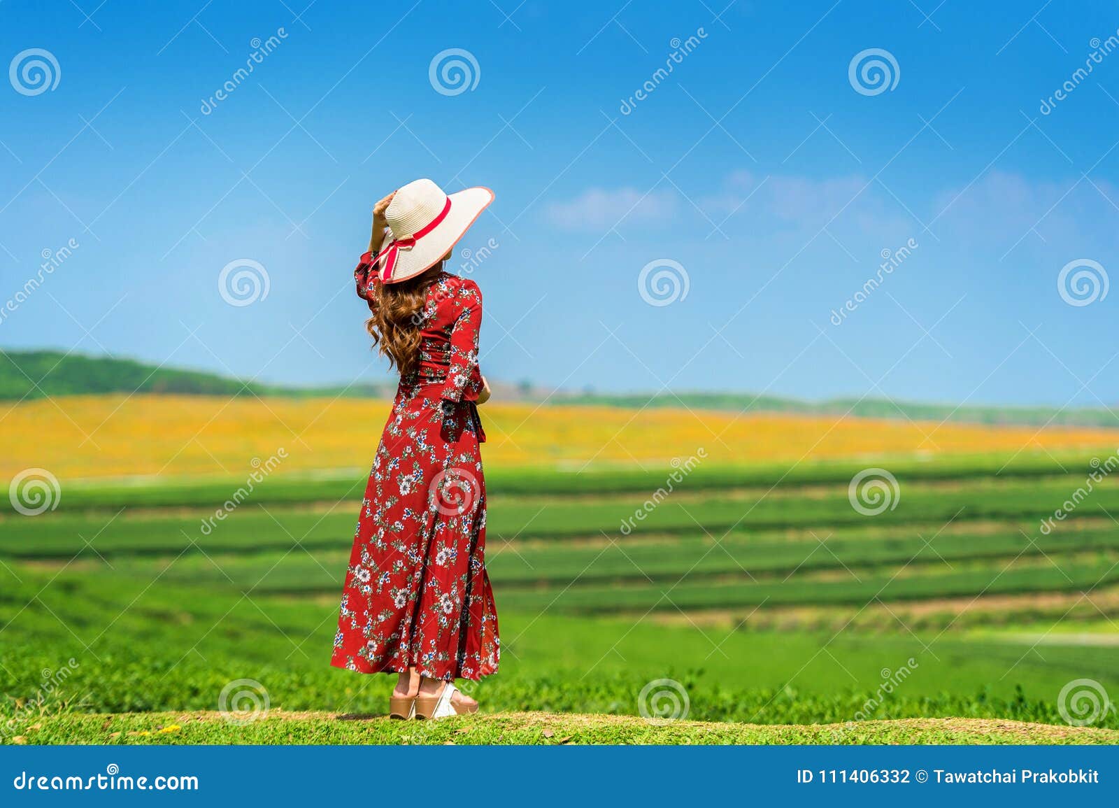 Woman Standing on Green Grass in Green Tea Field Stock Photo - Image of ...