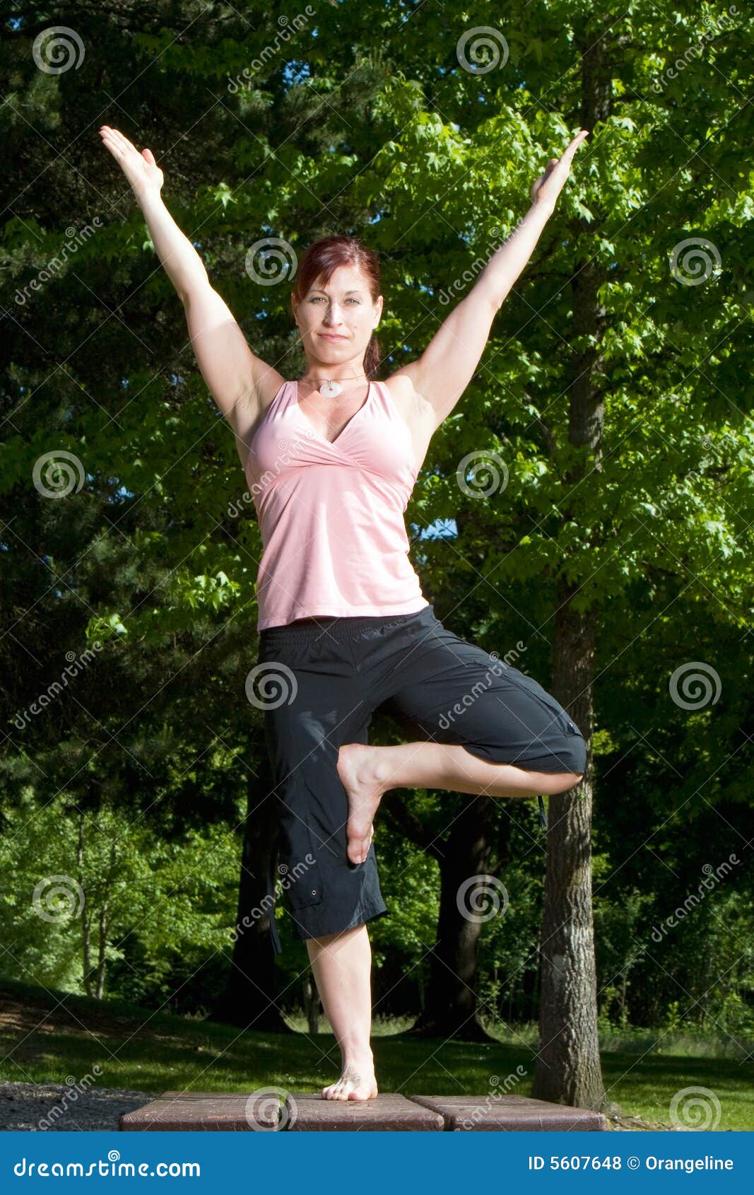 Woman Standing on Picnic Table - Vertical Stock Photo - Image of ...