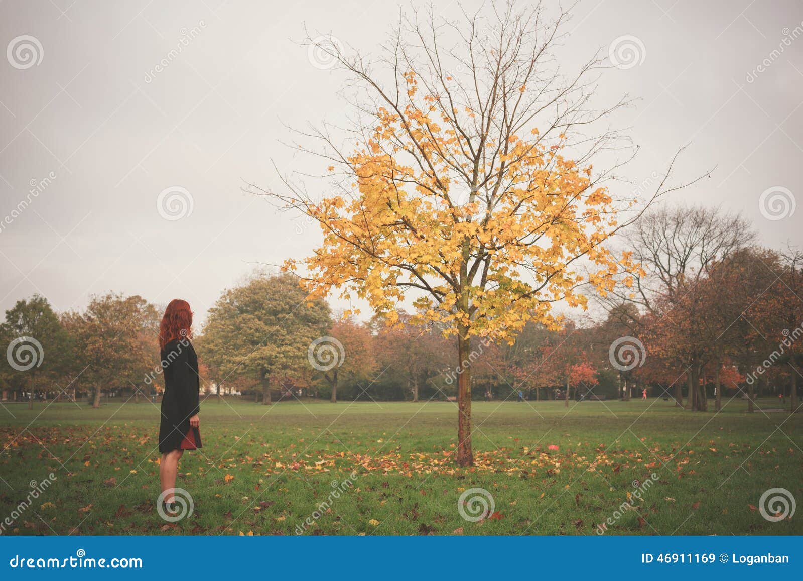 Woman Standing by Tree in Autumn Stock Image - Image of outdoors ...