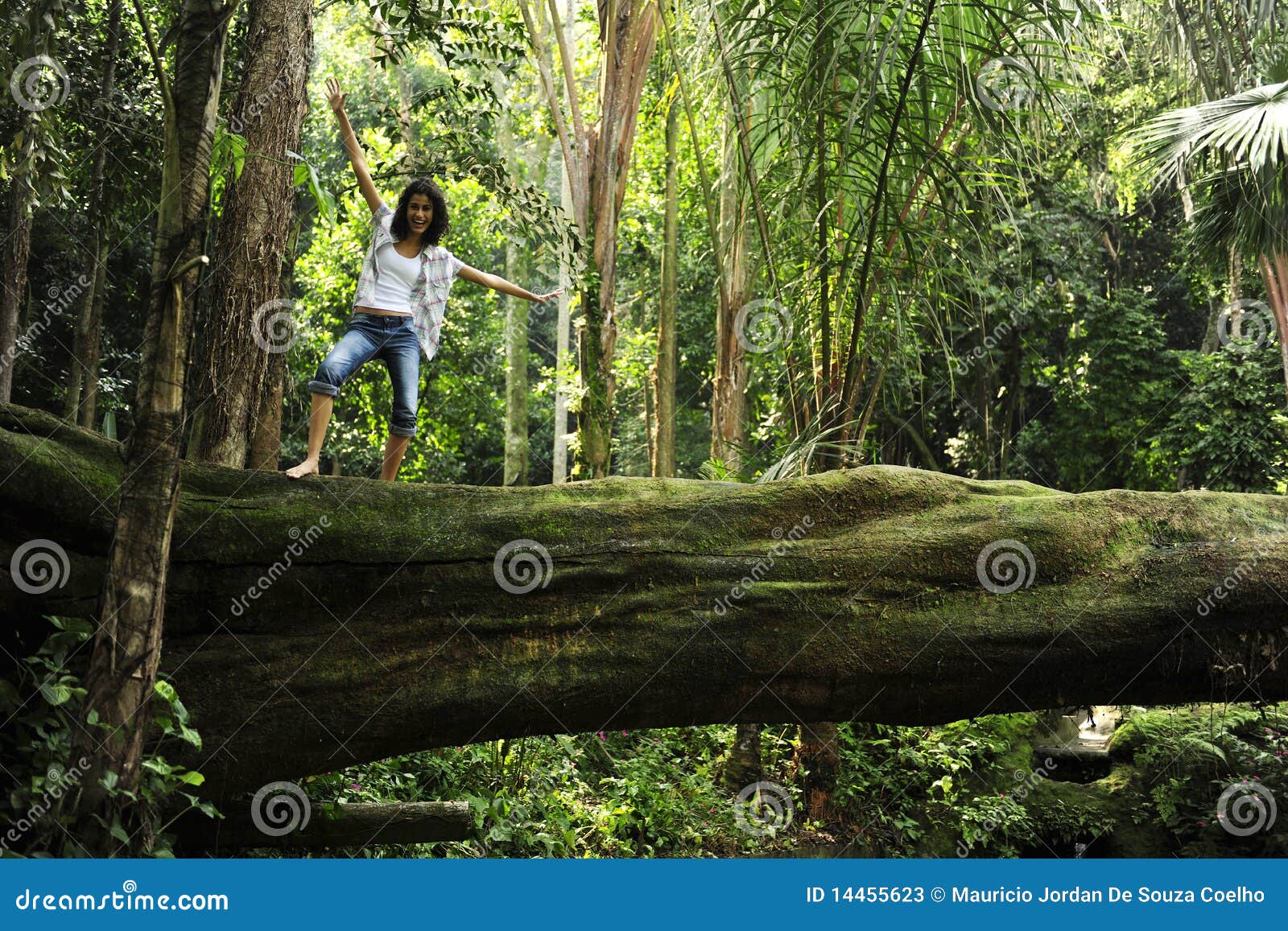 Woman Standing on a Tree in a Tropical Forest Stock Image - Image of ...