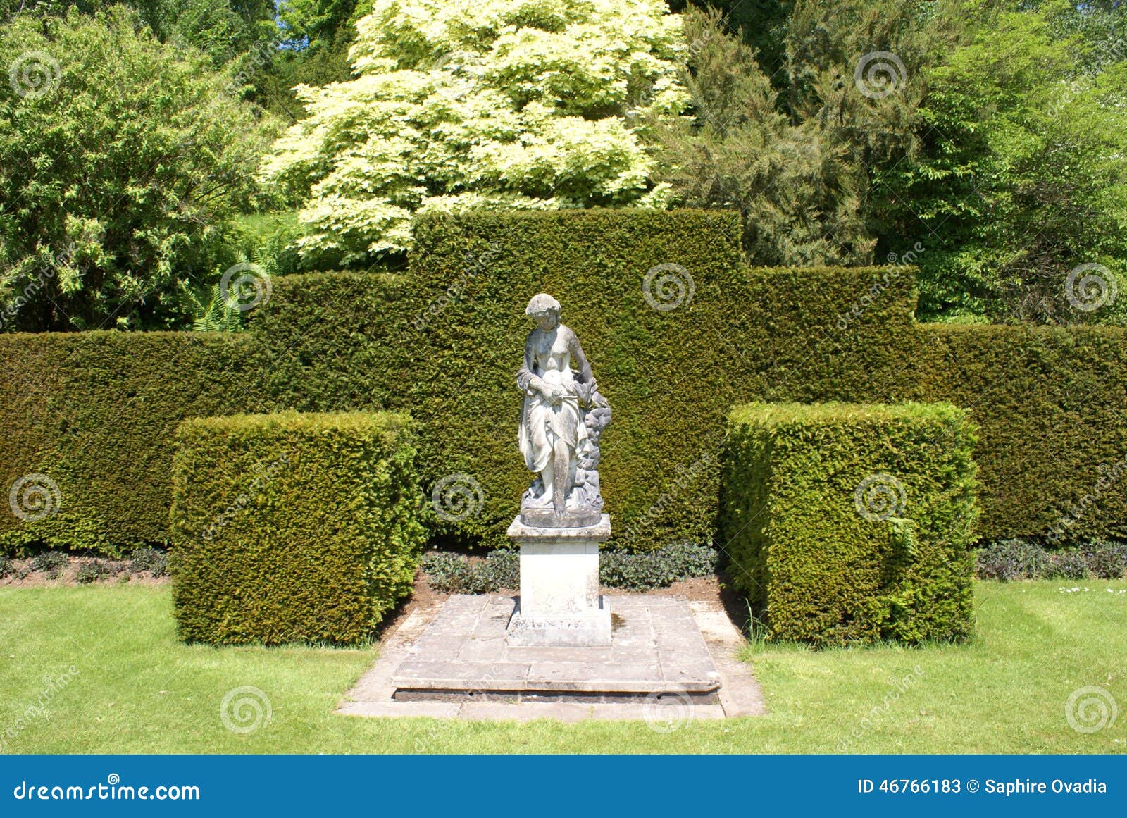 Woman Statue. Hedges. Topiary Trees Stock Image - Image of hedge ...