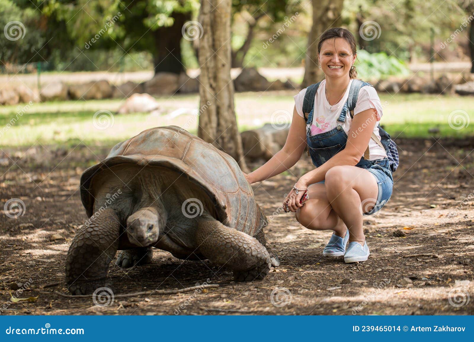 Woman Strokes a Giant Turtle at the Zoo. Stock Photo - Image of nature ...